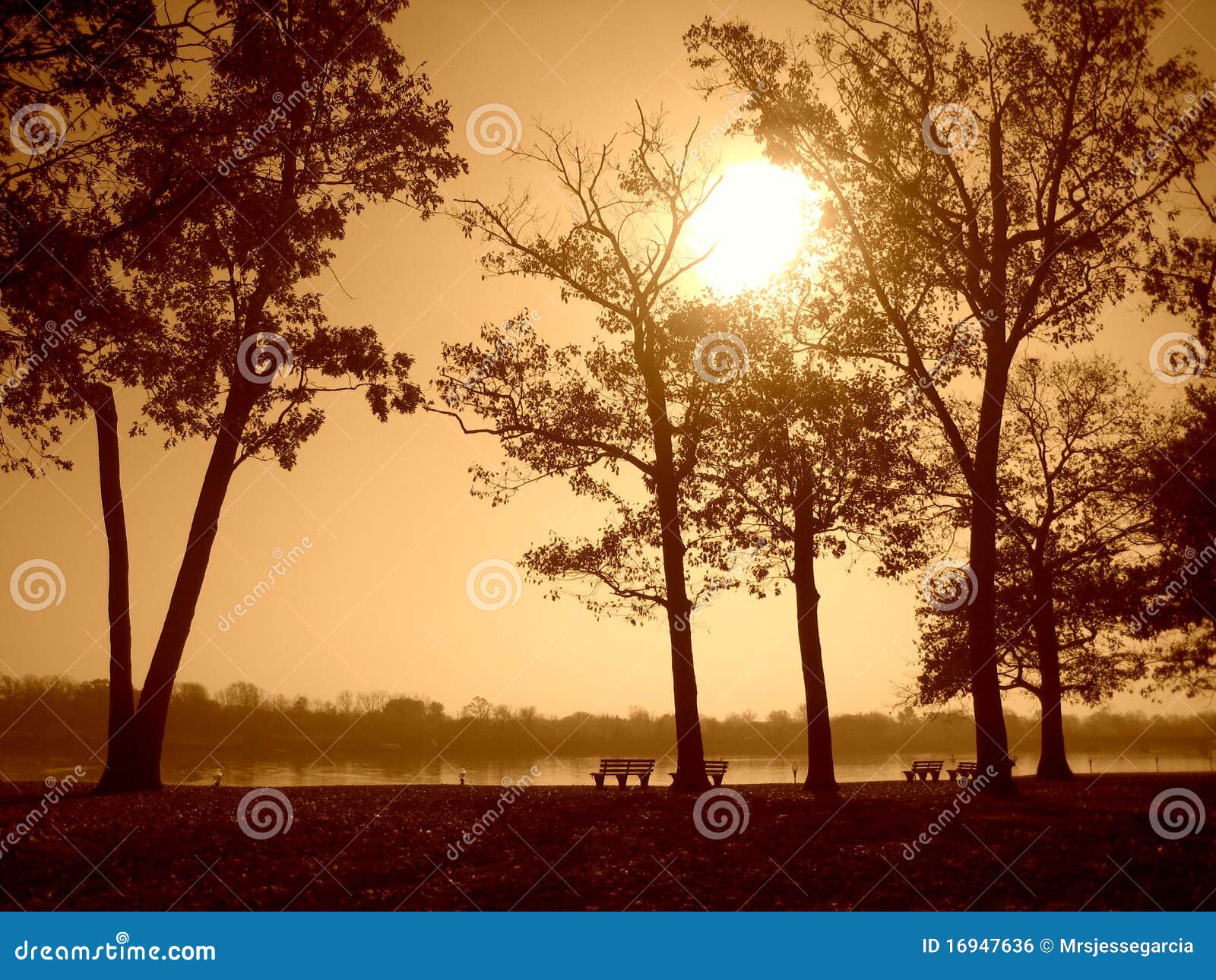 Sepia Sunset in the Park stock photo. Image of water - 16947636