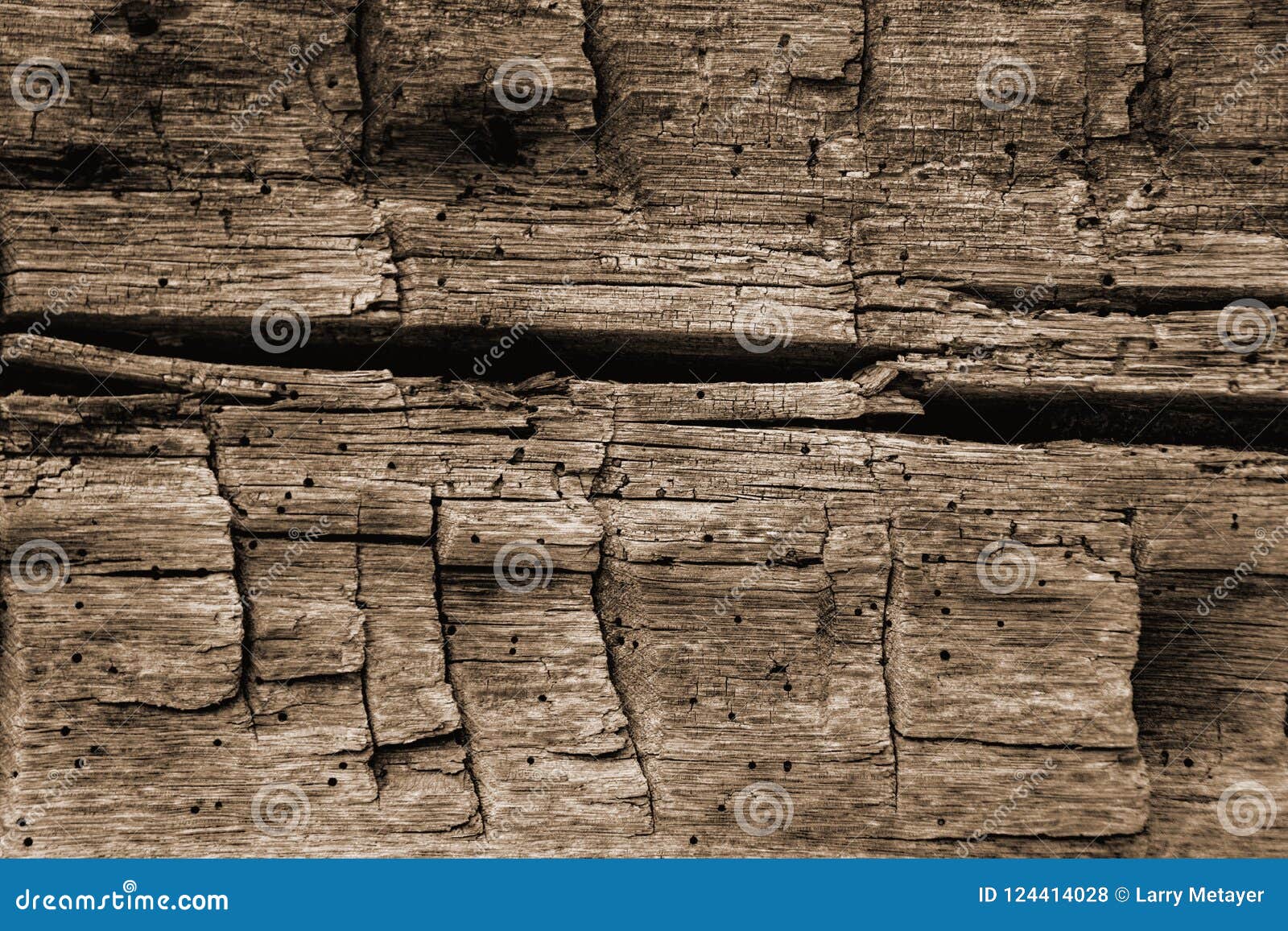 Split Log Cabin Walls Photos - Free & Royalty-Free Stock Photos from ...