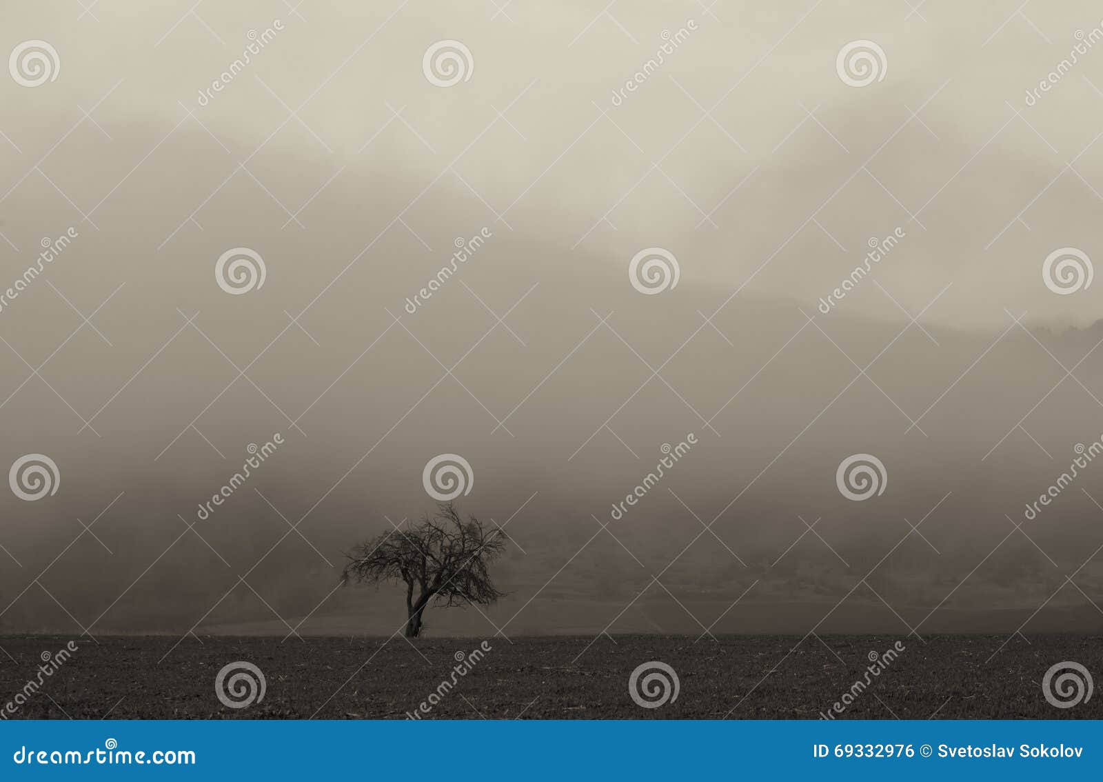 Sepia toned tree landscape stock photo. Image of black - 69332976