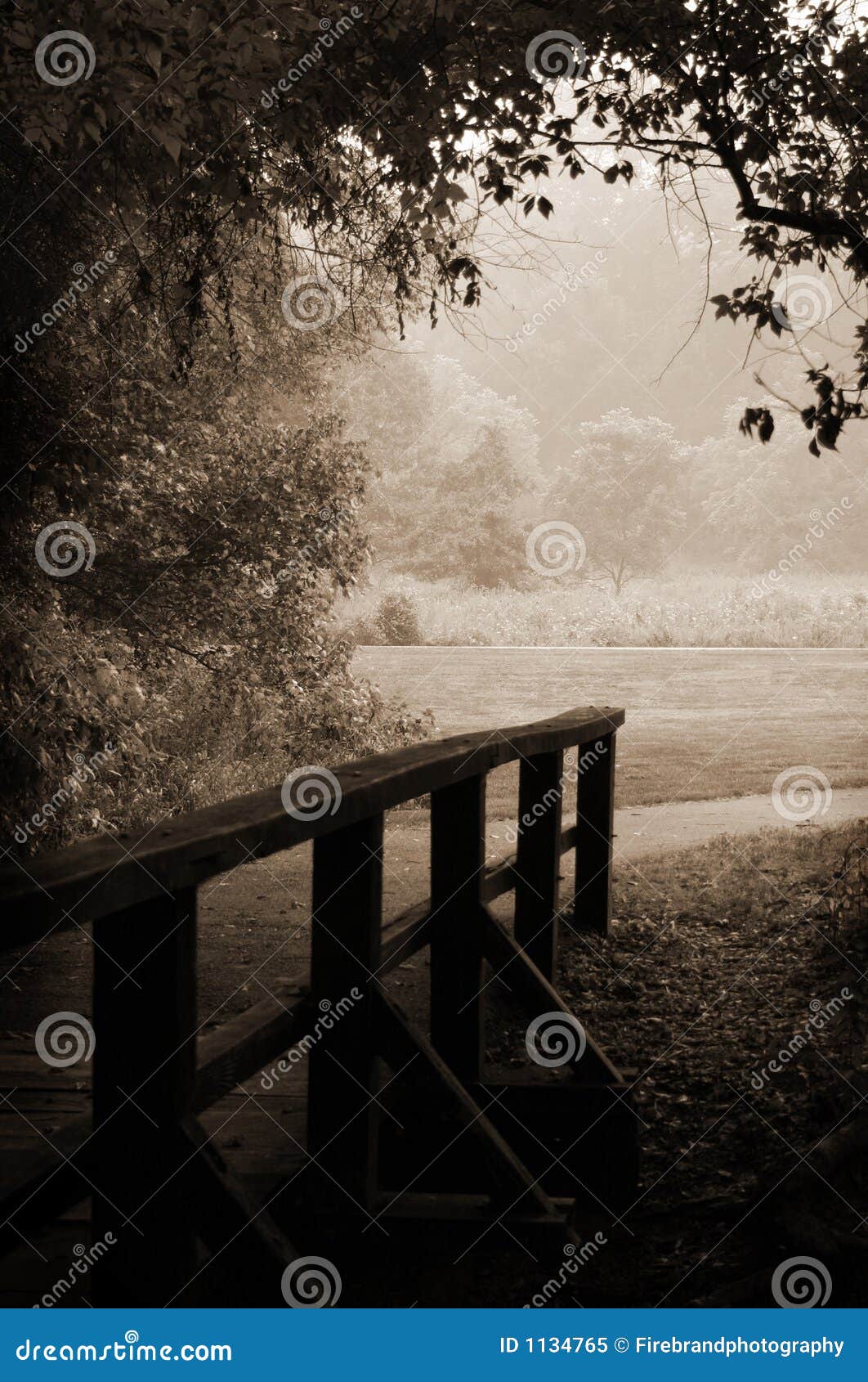 Sepia-toned Wooden Bridge and Path Stock Image - Image of outdoors ...