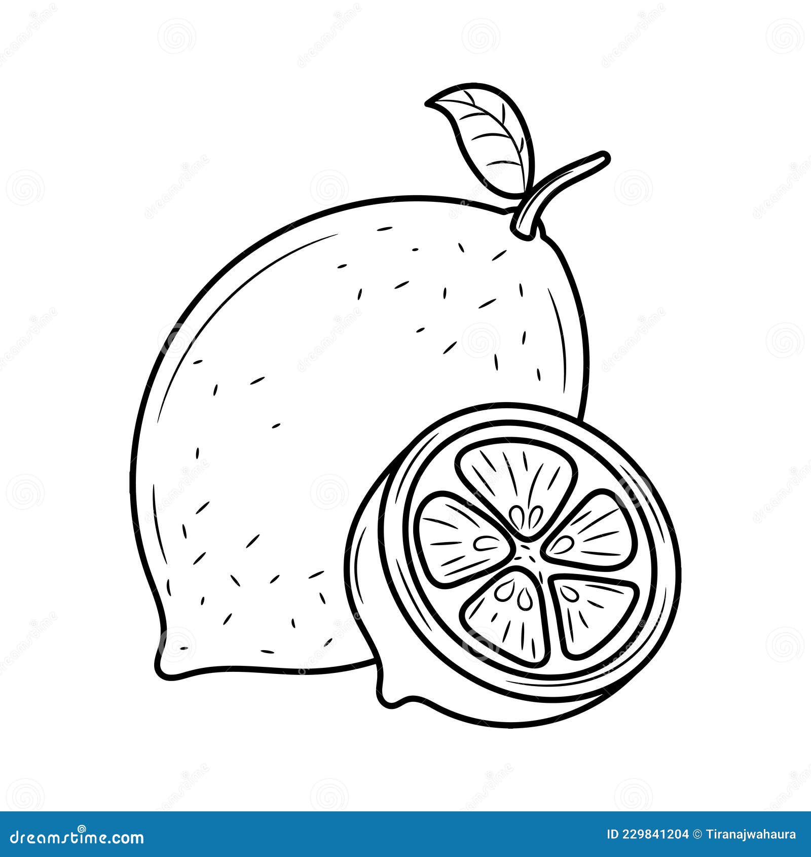 Simple Lemon, Hand Drawn Outline Vector Illustration Stock Vector ...