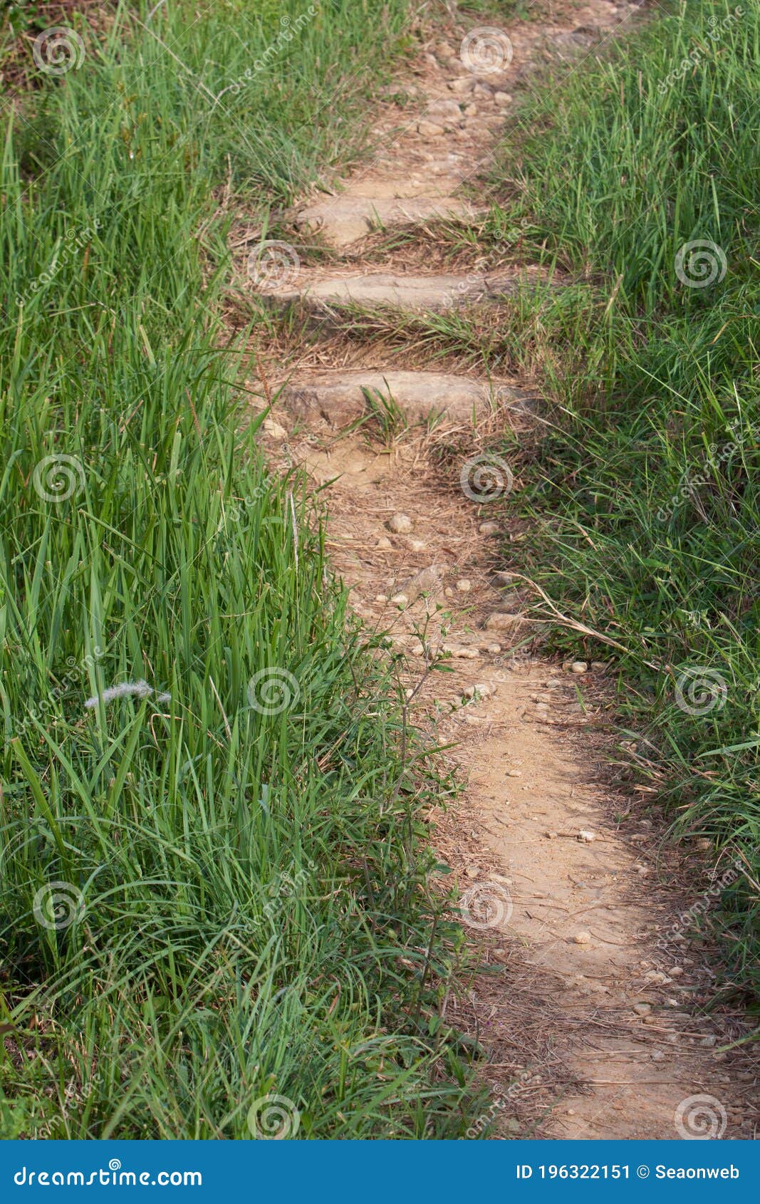 22 Sept 2007 the Path at High Junk Peak Country Trail Stock Image ...