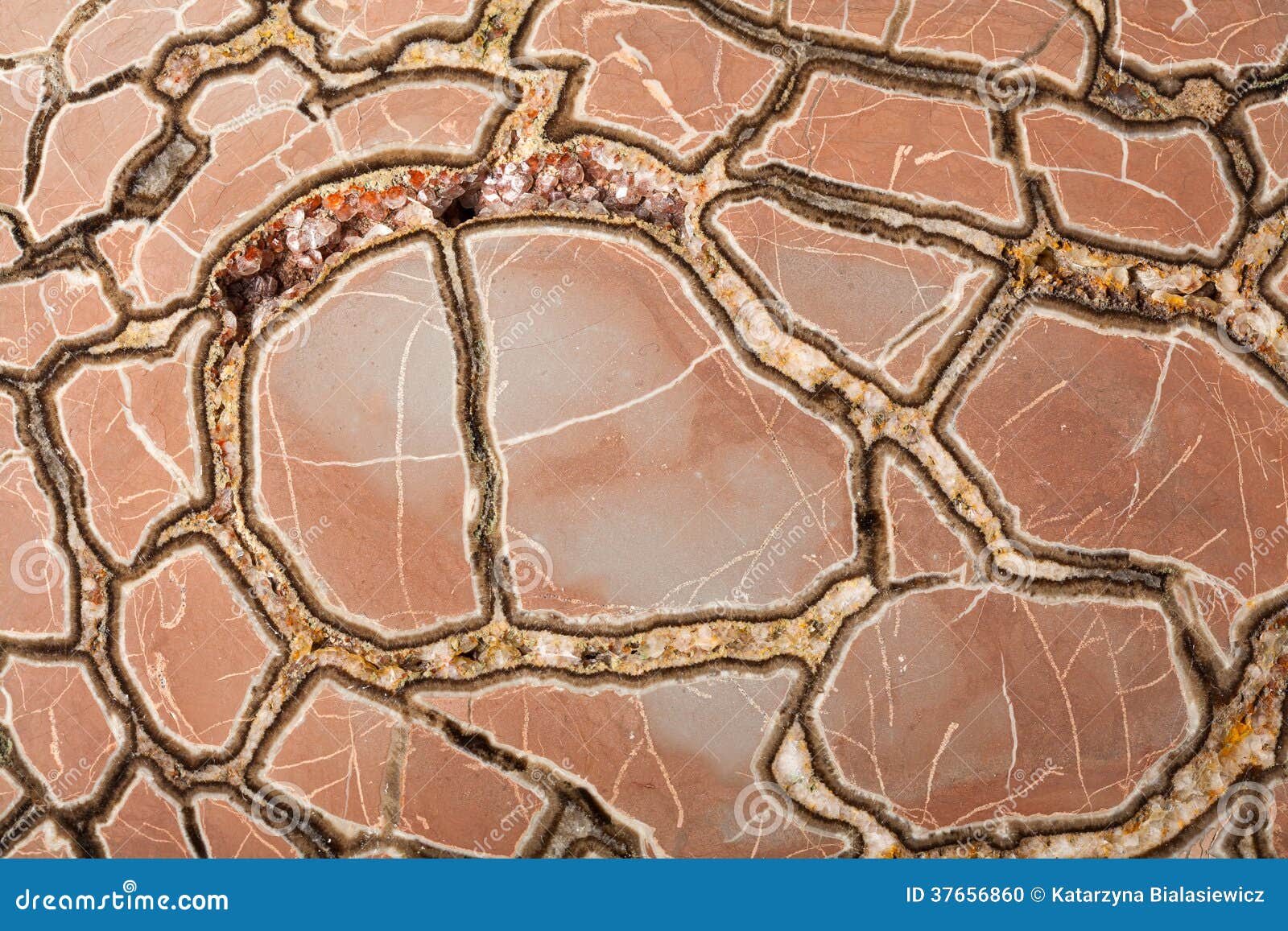 Septaria Concretion Mineral Surface Stock Photo - Image of minerology ...