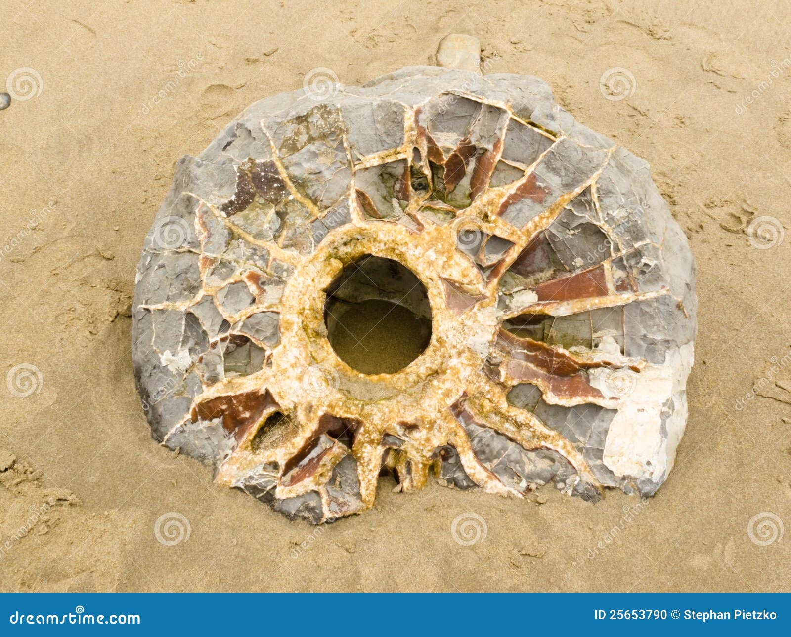 Cannonball Concretion In The Badlands Stock Photo | CartoonDealer.com ...