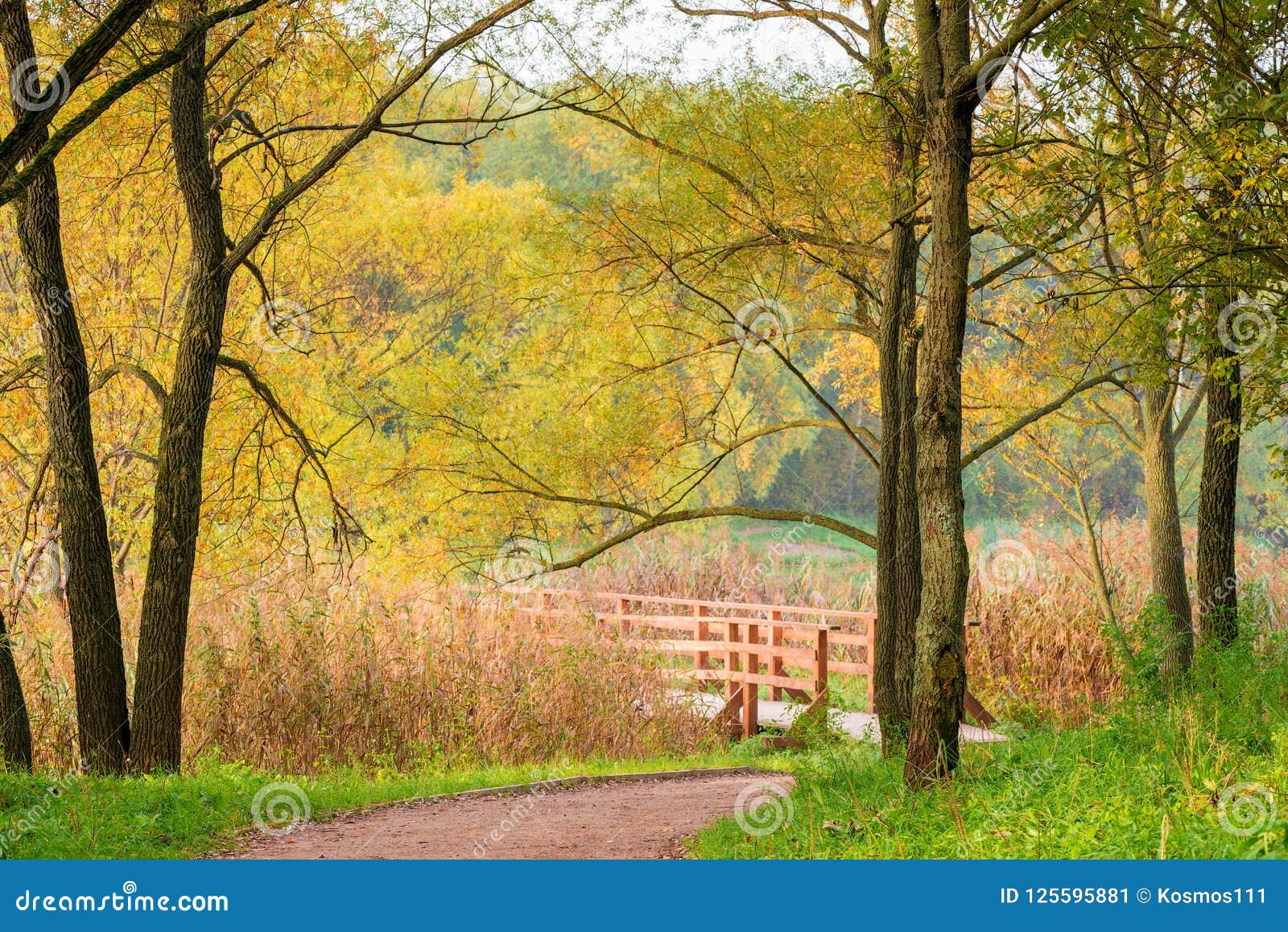 September - Autumn Landscape of an Empty Park Stock Image - Image of ...