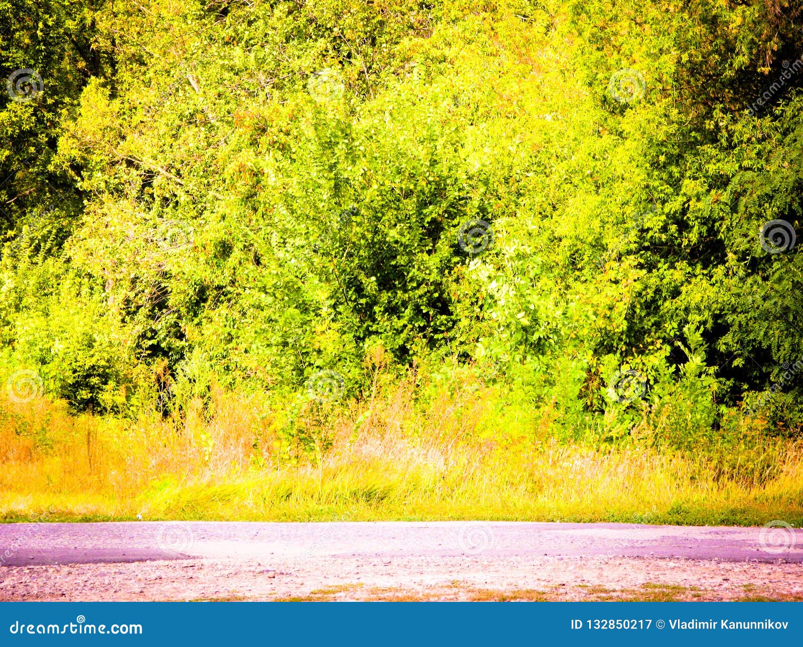 September forest and road stock image. Image of forest - 132850217