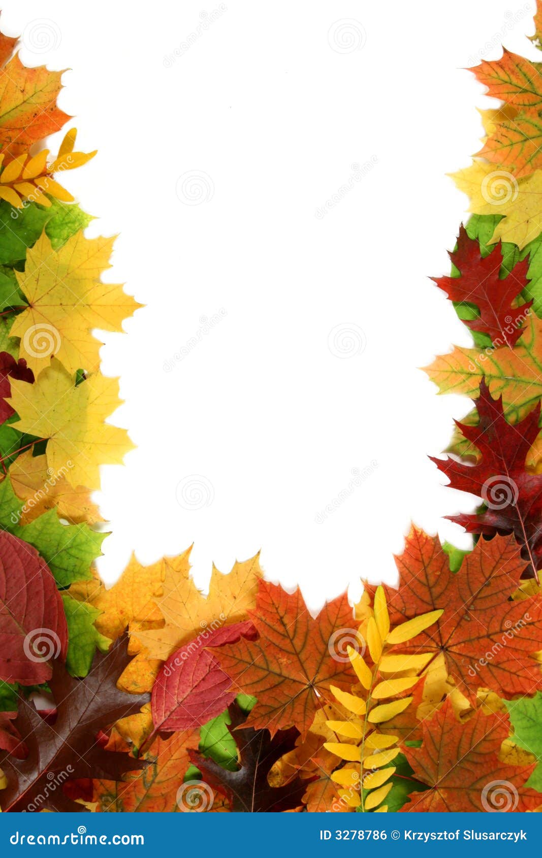 September foliage stock photo. Image of seasonal, maple - 3278786