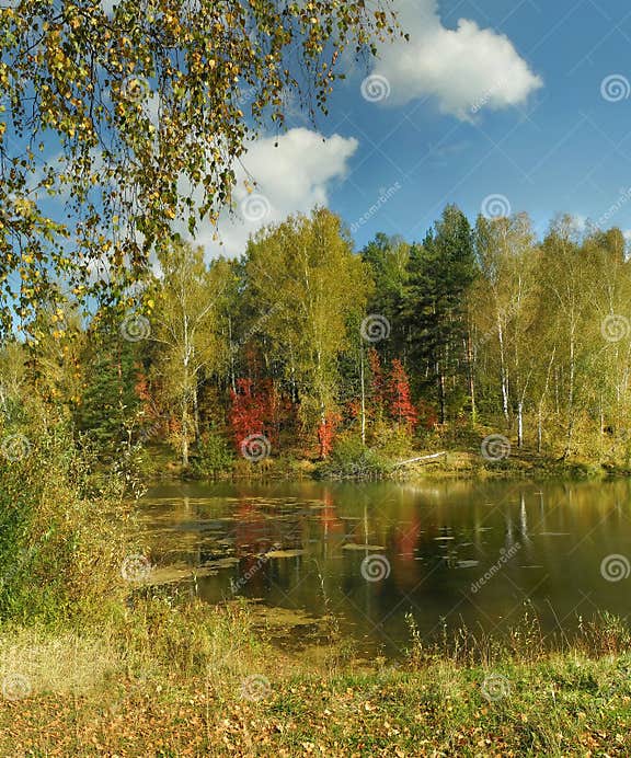 September landscape stock image. Image of orange, nature - 1680007