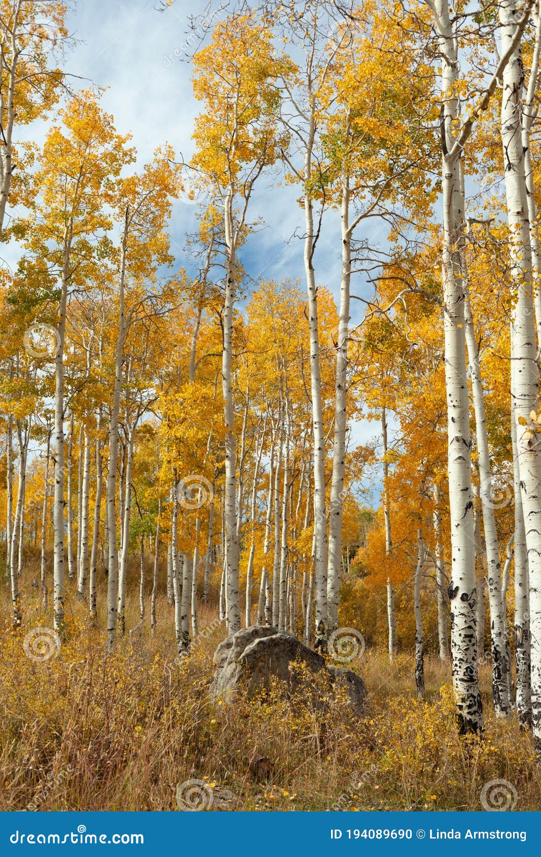 37,721 September Golden Landscape Stock Photos - Free & Royalty-Free ...