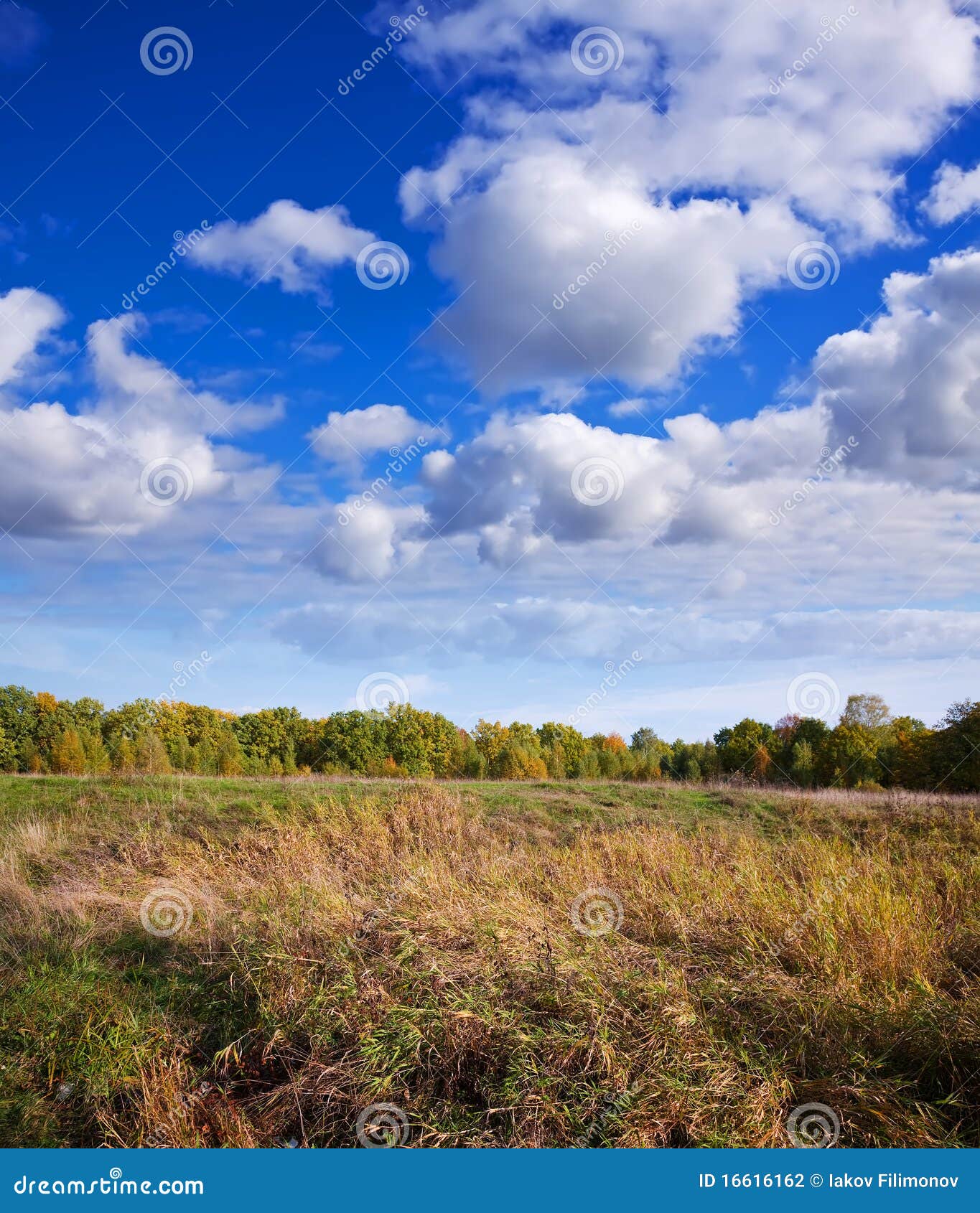 September Landscape with Meadow Stock Photo - Image of green, nature ...