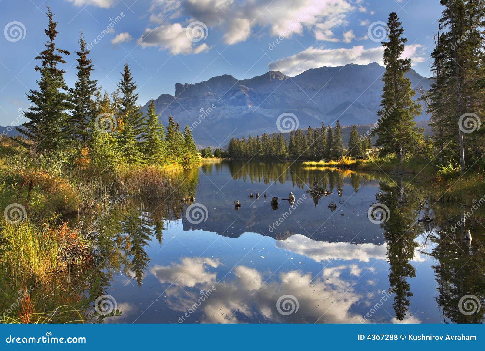 September Morning in the North. Stock Photo - Image of land, landscape ...