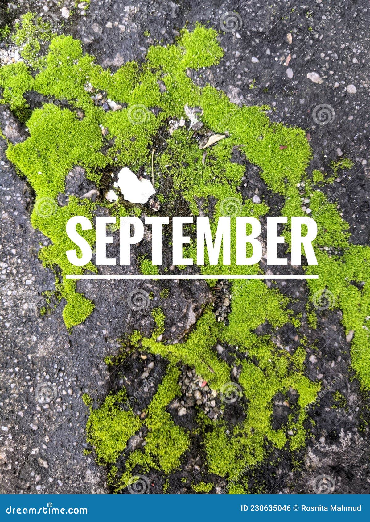 September Wording on the Green Rock for Wallpaper Stock Photo - Image ...