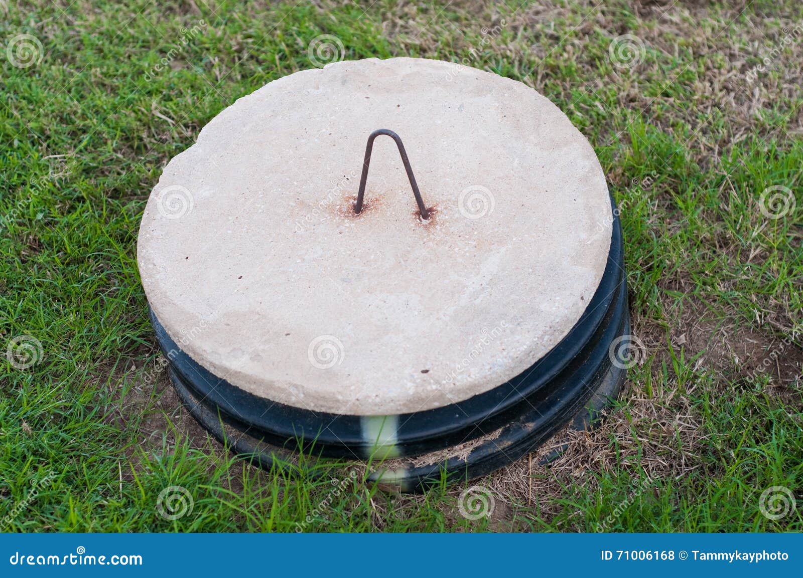 Septic Tank Lid in the Middle of a Yard. Stock Photo - Image of cover ...