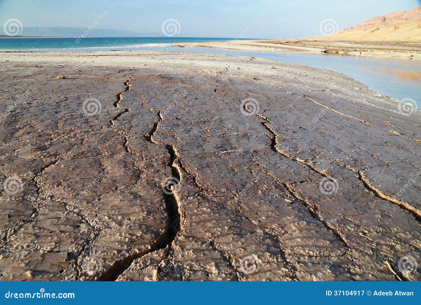 Sequedad del mar muerto imagen de archivo. Imagen de dren - 37104917