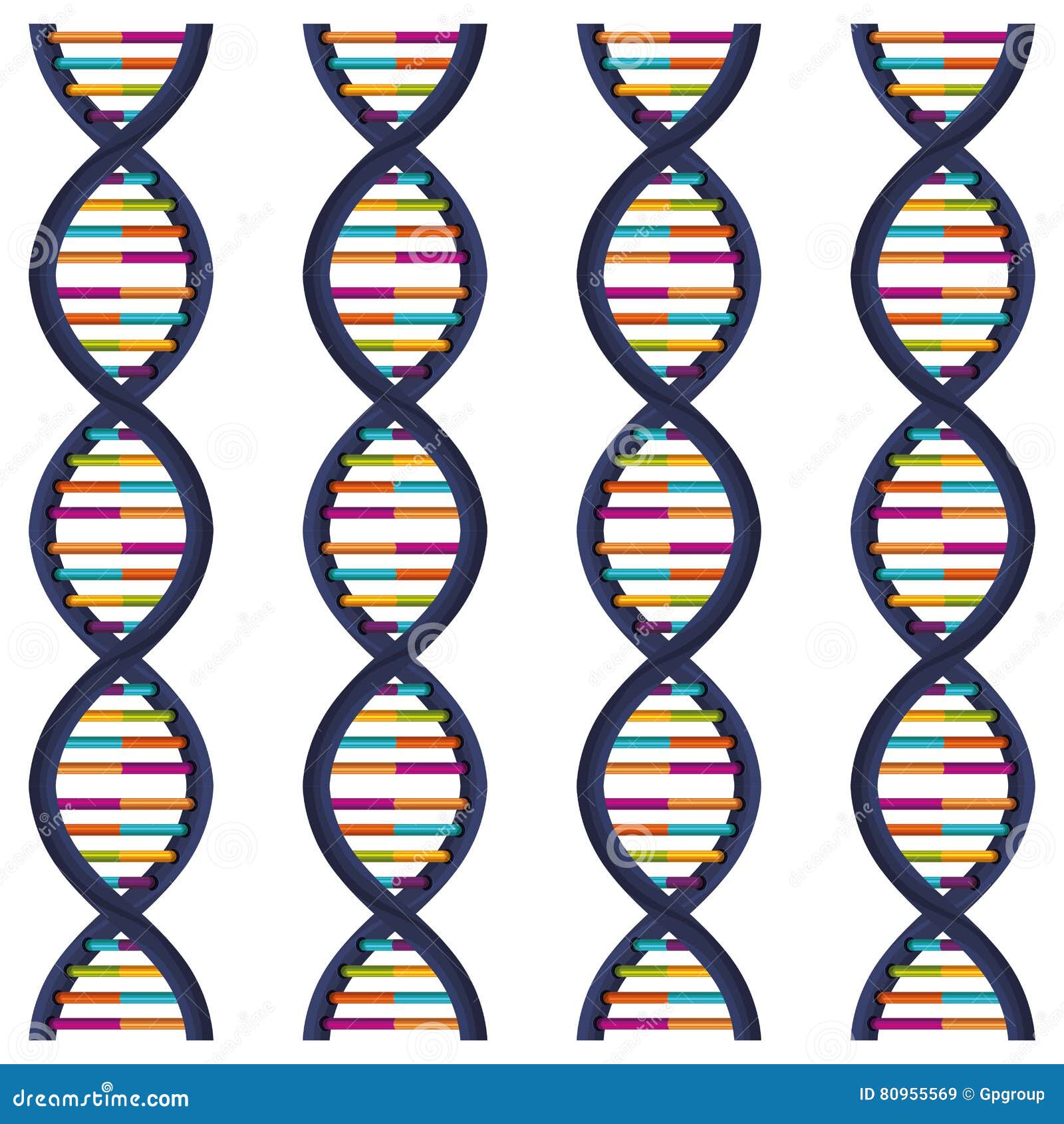 Sequence DNA With Bases In Color Cartoon Vector | CartoonDealer.com ...