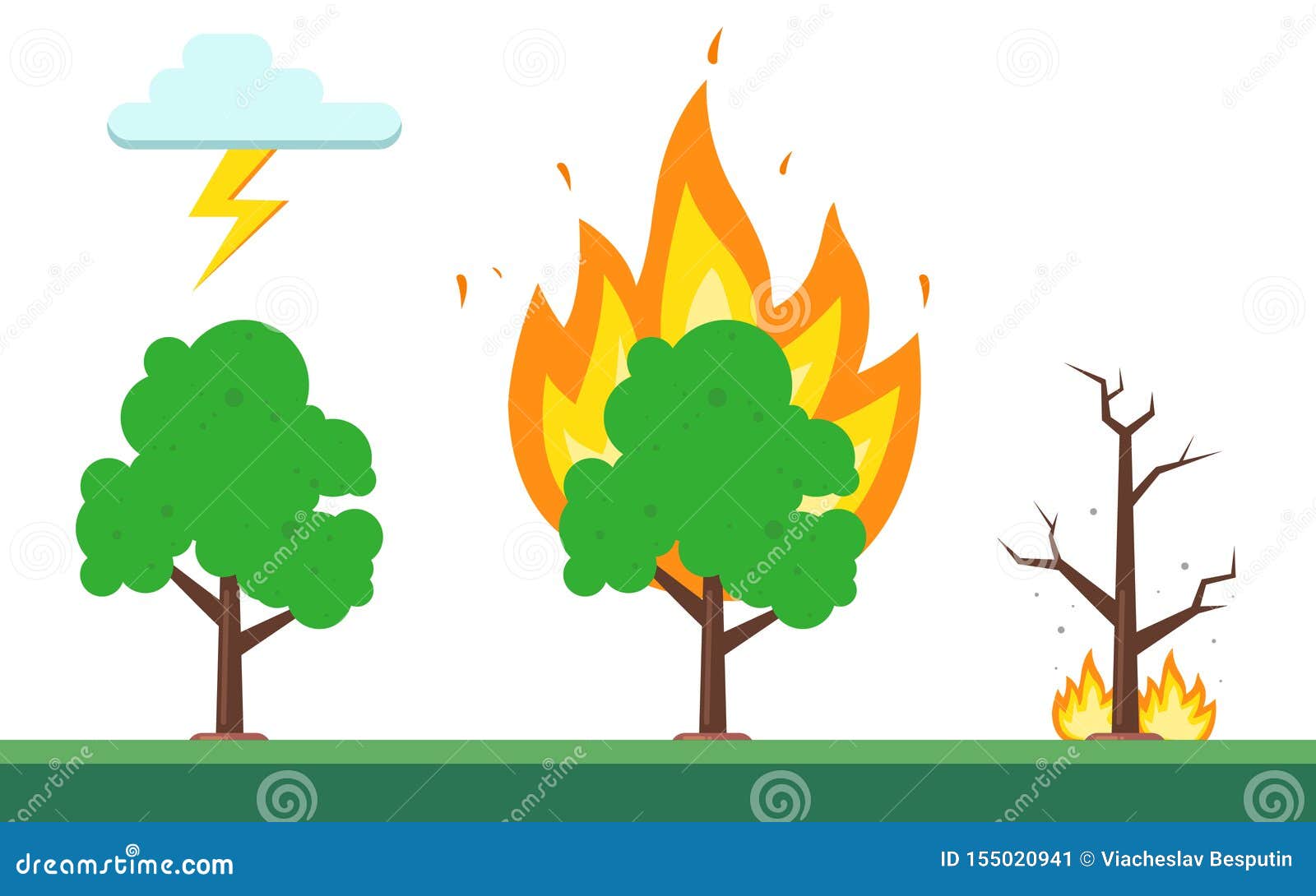 Sequence of Fire in the Forest. the Natural Nature Stock Illustration ...