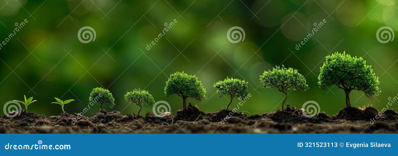 Sequence of Seed Growing in Trees in Many Stage Stock Illustration ...