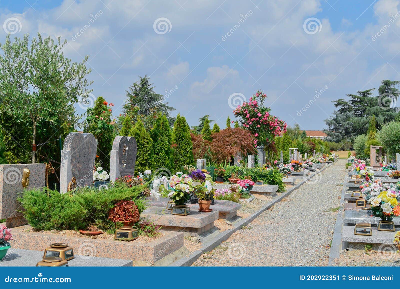 Narrow Dirt Path with Side Graves in the Cemetery Stock Image - Image ...