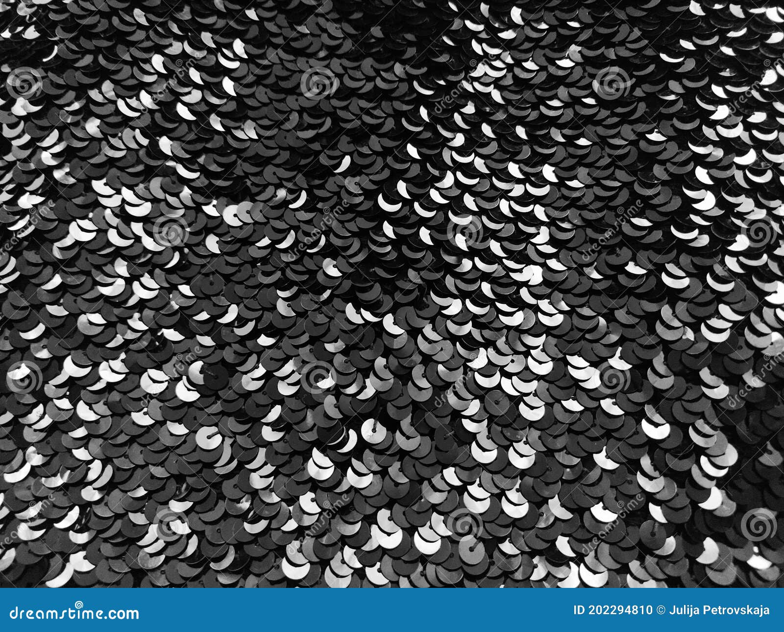Sequin Fabric. Black Sequins with White and Gray Sheen. Reflection of ...