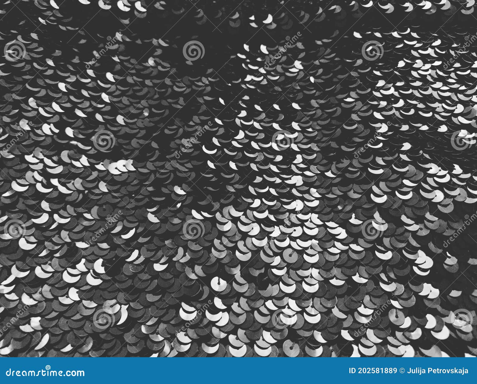 Sequin Fabric. Black Sequins with White and Gray Sheen. Reflection of ...