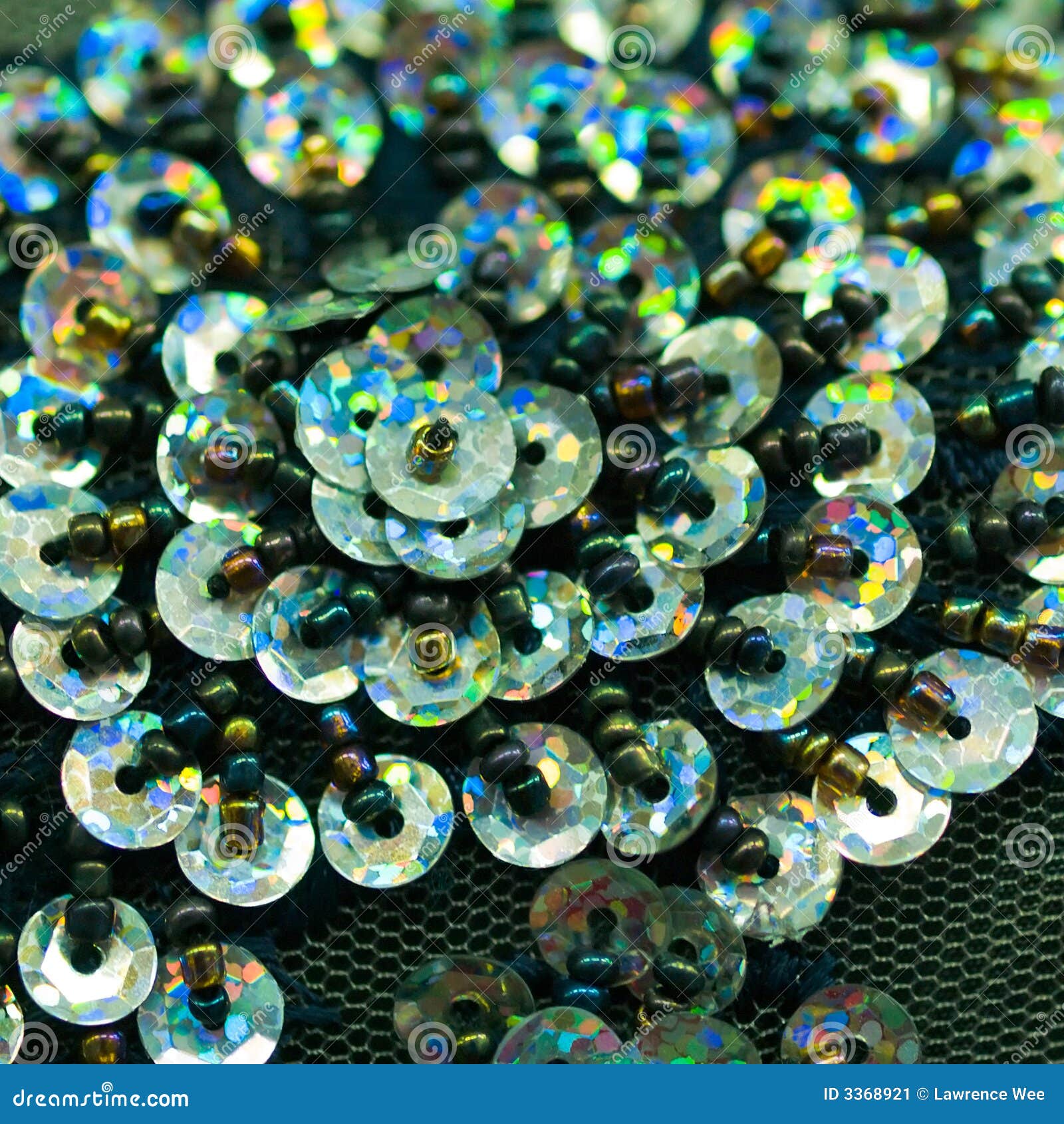 Sequined Floral Design stock image. Image of mesh, clothes - 3368921