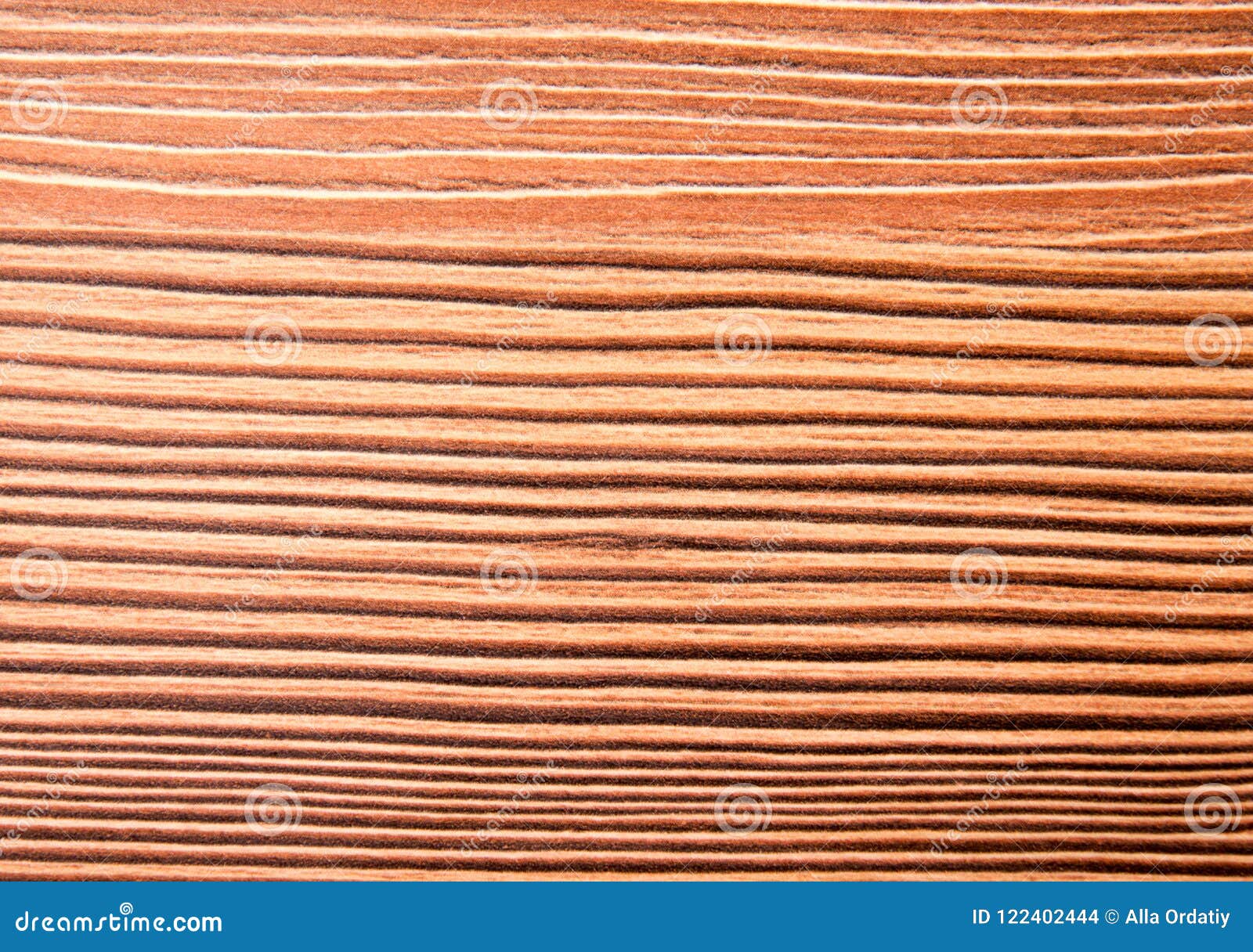 Sequoia.Fine Image Of Natural Wood Texture Background. Stock Photo ... Sequoia.Fine Image Of Natural Wood Texture Background. Stock Photo ...