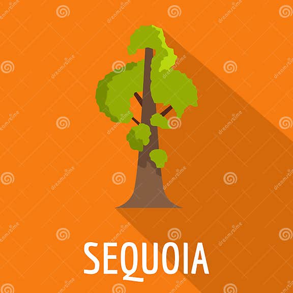 Sequoia icon, flat style stock vector. Illustration of giant - 106107312