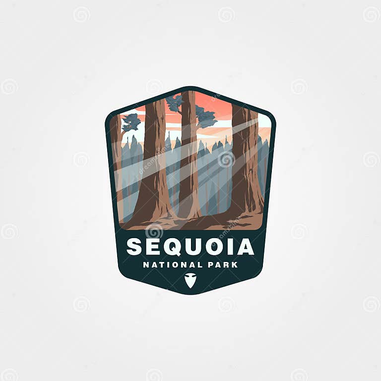 Sequoia National Park Vector Patch Design, Giant Tree Logo Design Stock ...