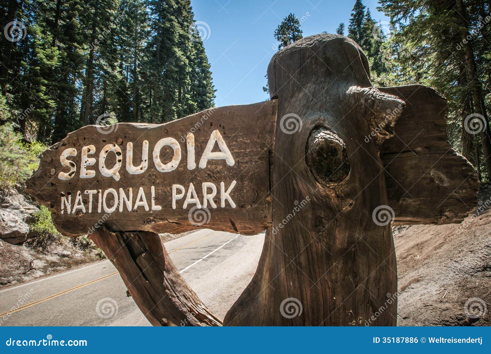 Sequoia sign stock photo. Image of american, sequoia - 35187886