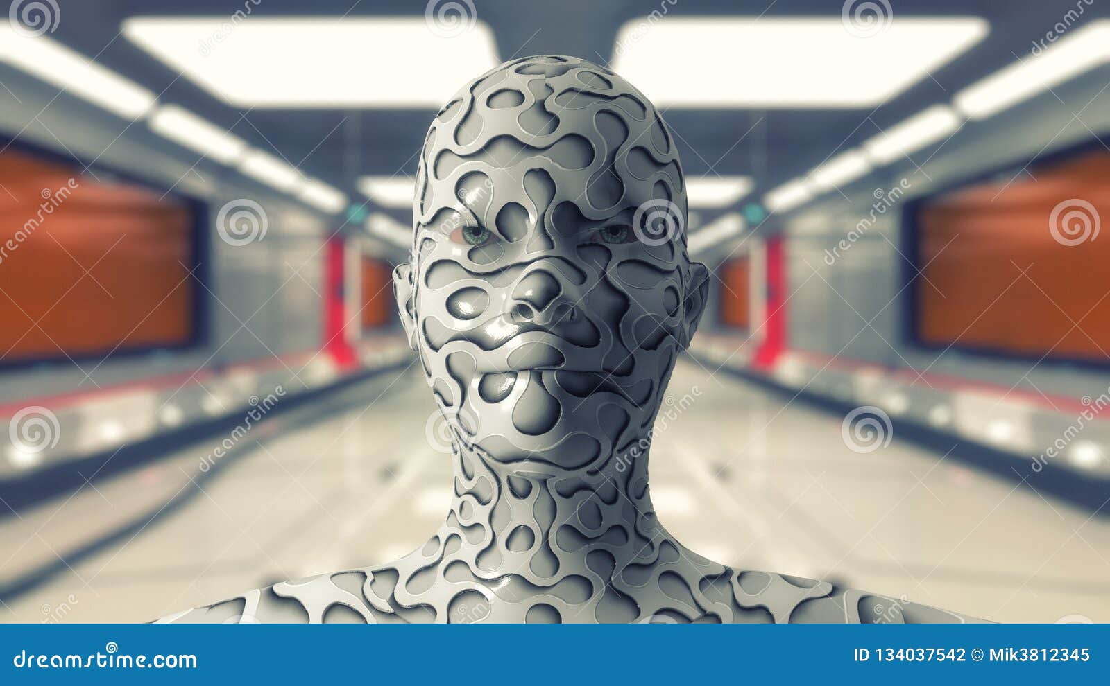 Ser Humano Principal Retrato Quebrado Ilustração Stock - Ilustração de ...