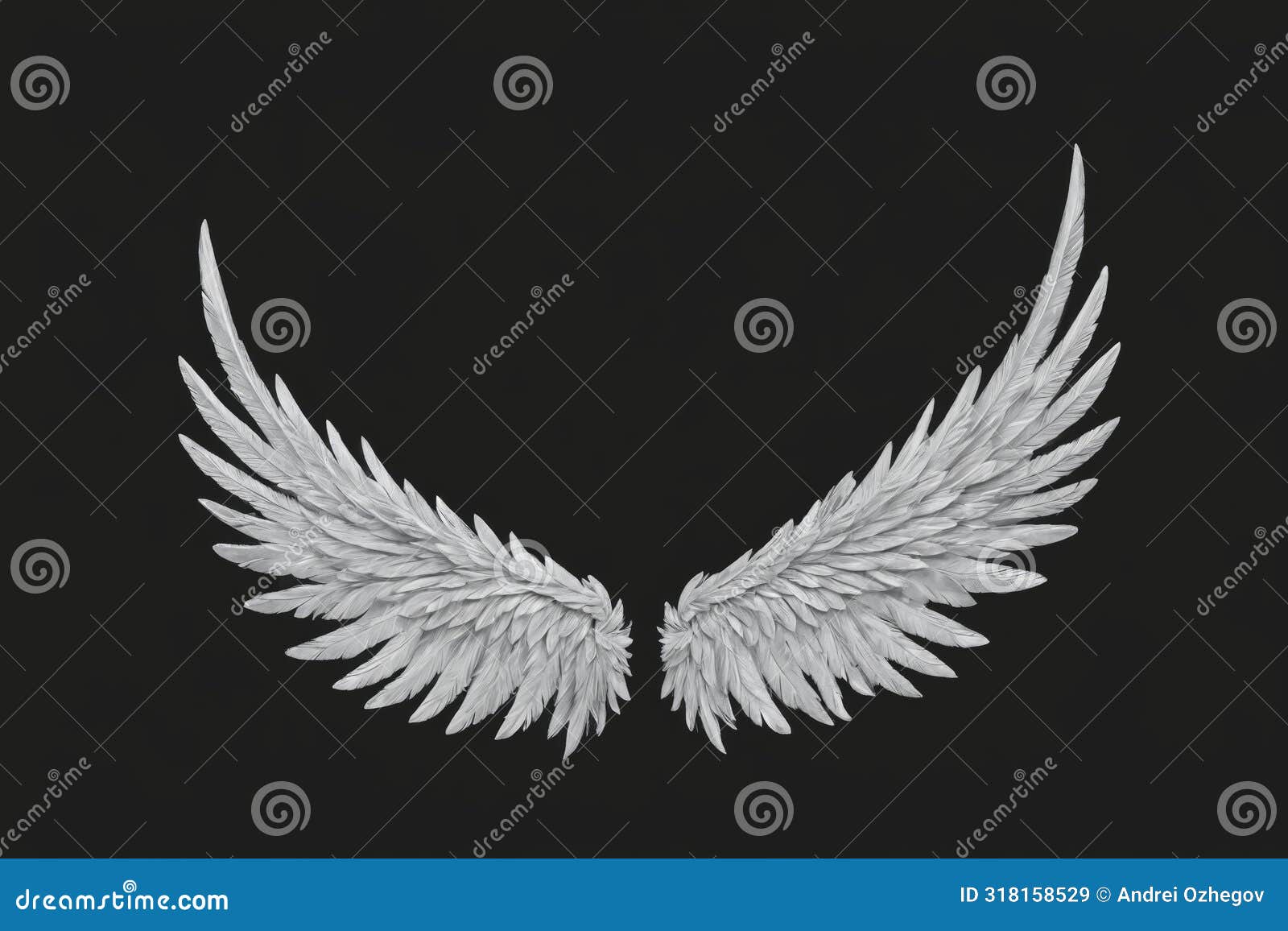 Seraphic Spread: Detailed Angel Wings Against Black Backdrop Stock ...