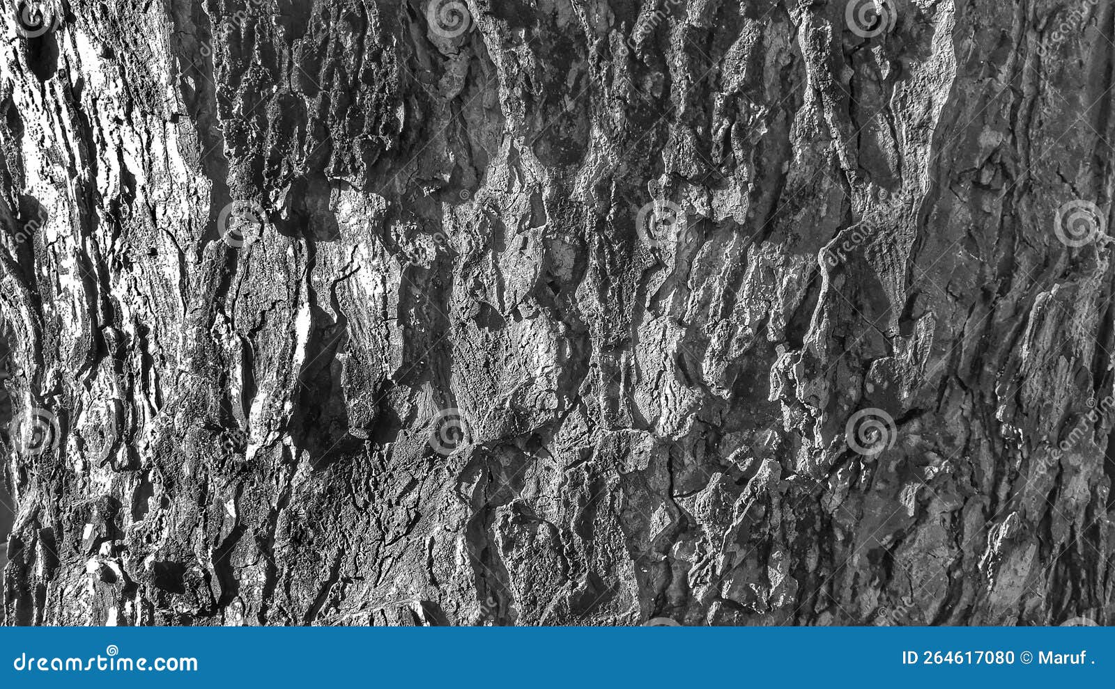 Serat Kulit Kayu stock photo. Image of skin, kayu, serat - 264617080