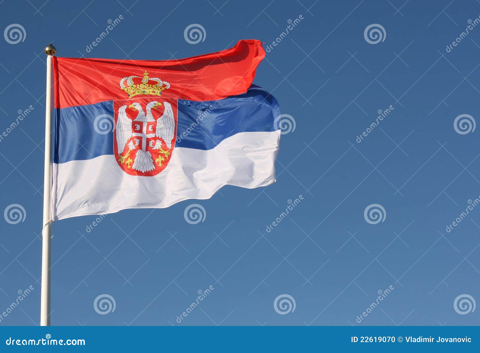 Serbian flag stock photo. Image of eagle, serbia, sunshine - 22619070