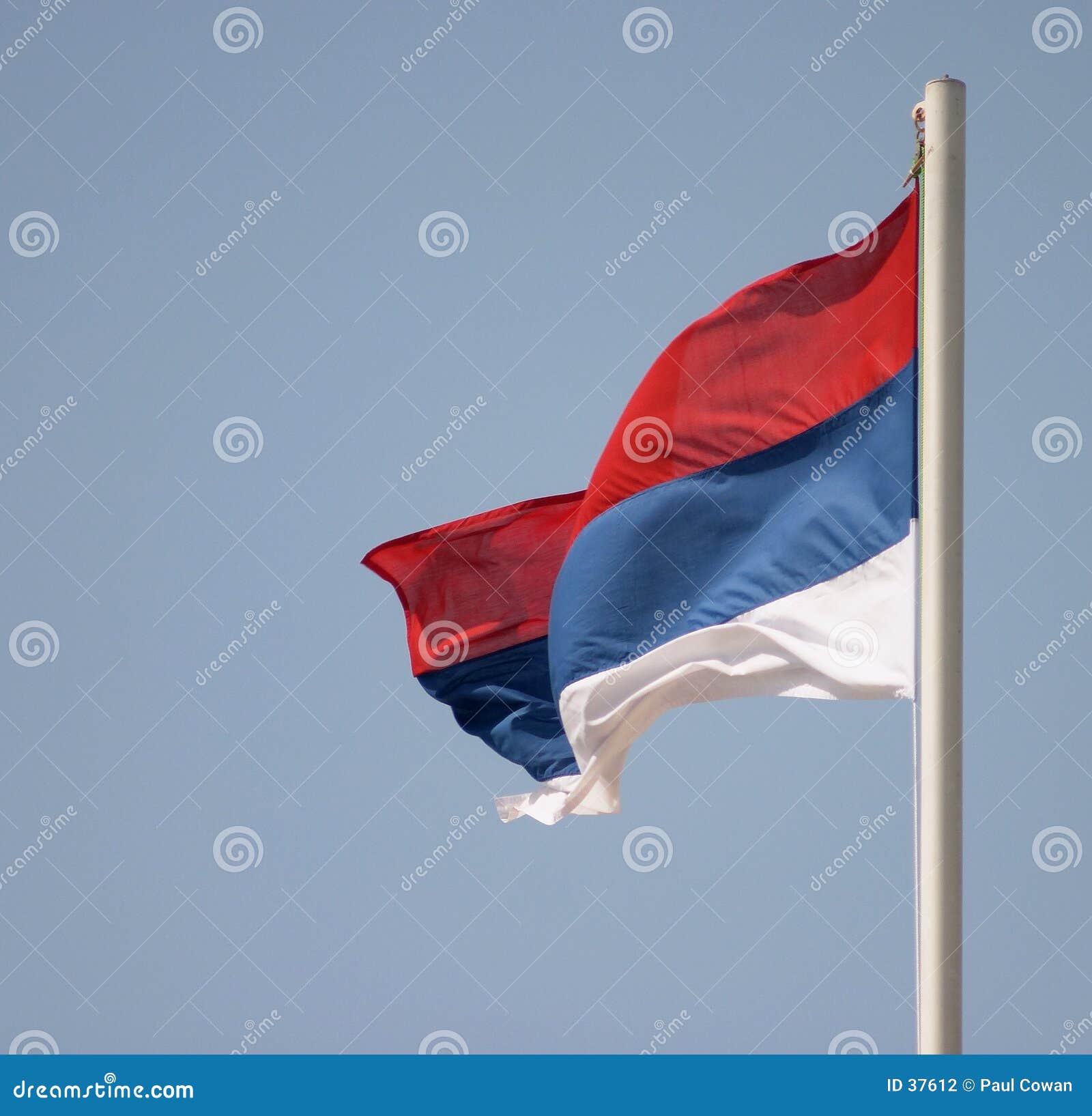 Serbian flag stock photo. Image of serbia, flag, banner - 37612