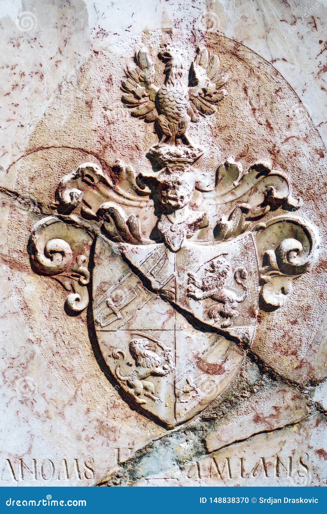 Serbian medieval heraldry stock photo. Image of coat - 148838370