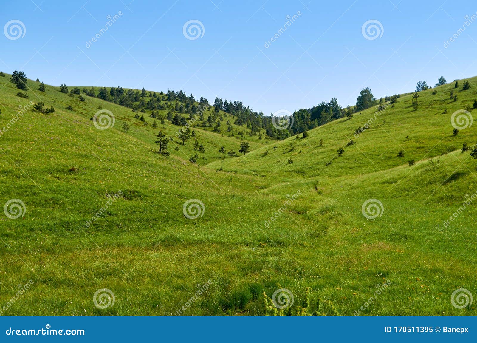Serbian mountain landscape stock image. Image of outdoor - 170511395
