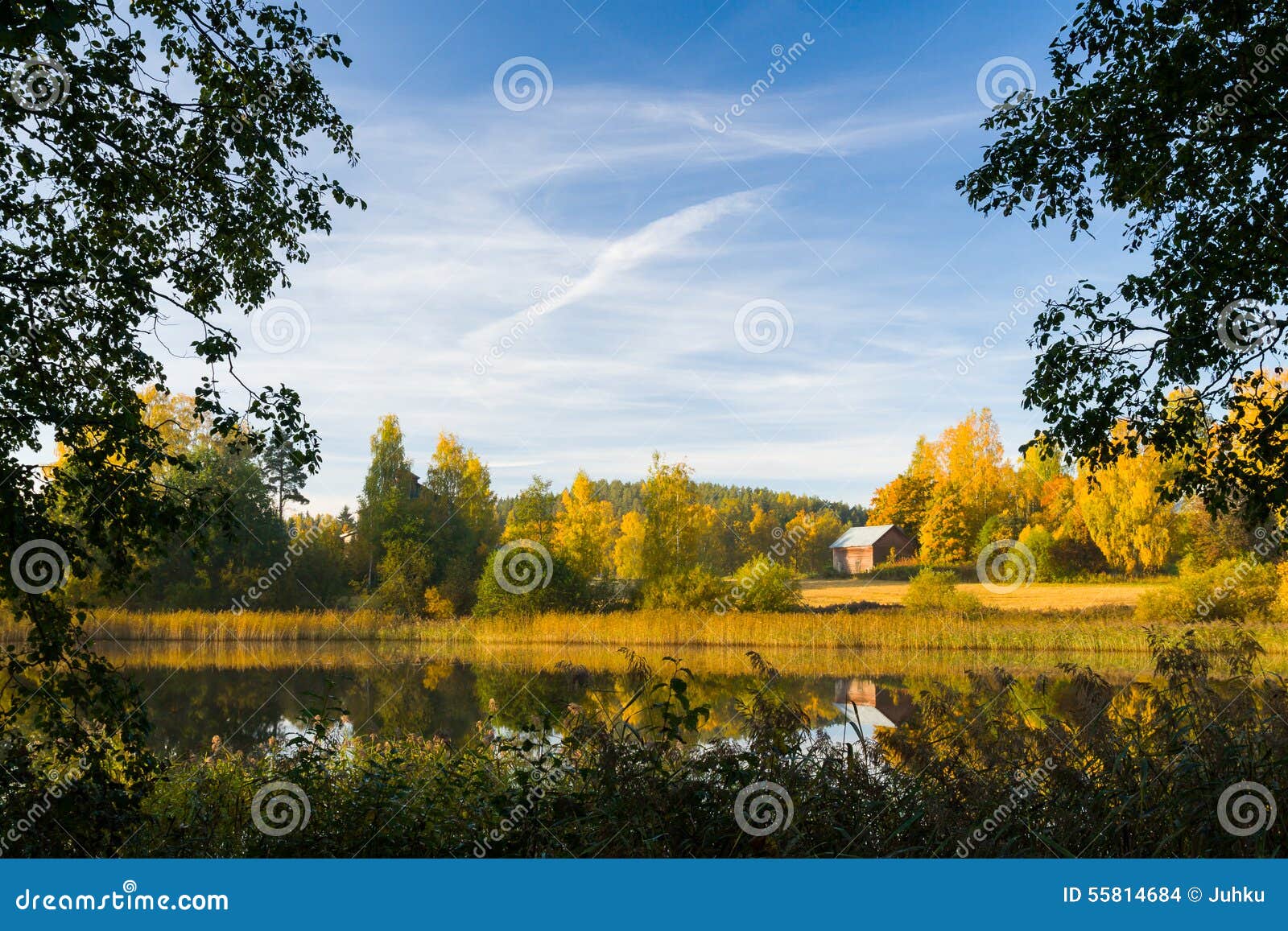 Serene Autumn Scene Finland Stock Photo - Image of leaf, finnish: 55814684