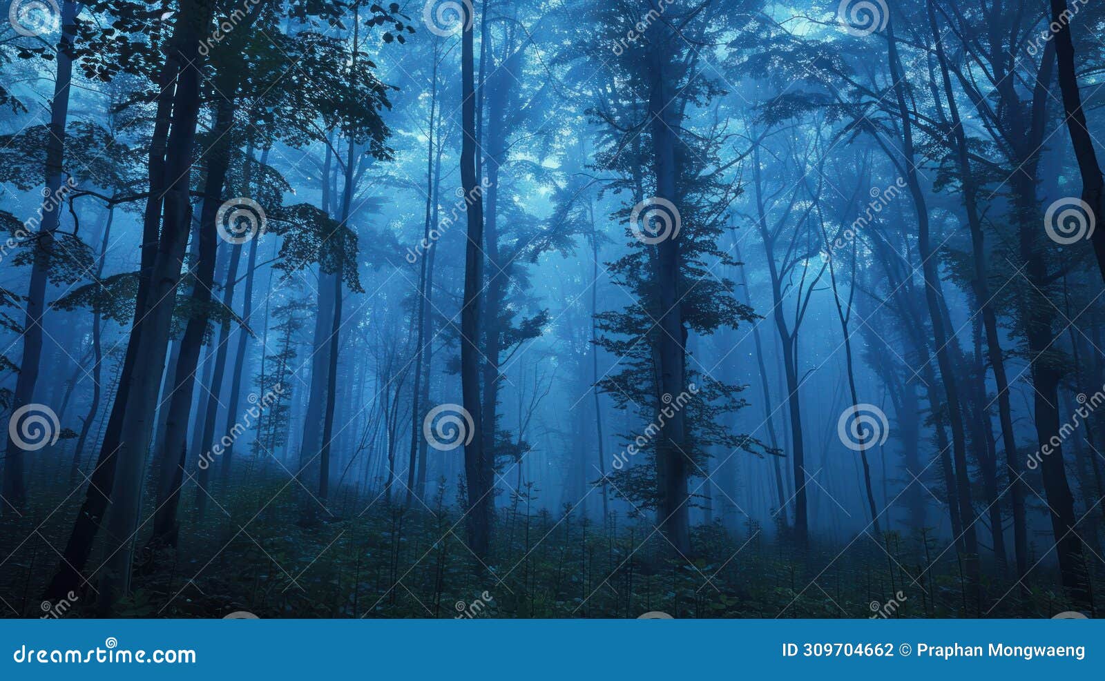 A Serene, Blue-tinted Forest Scene Enveloped in Mist, Creating a ...