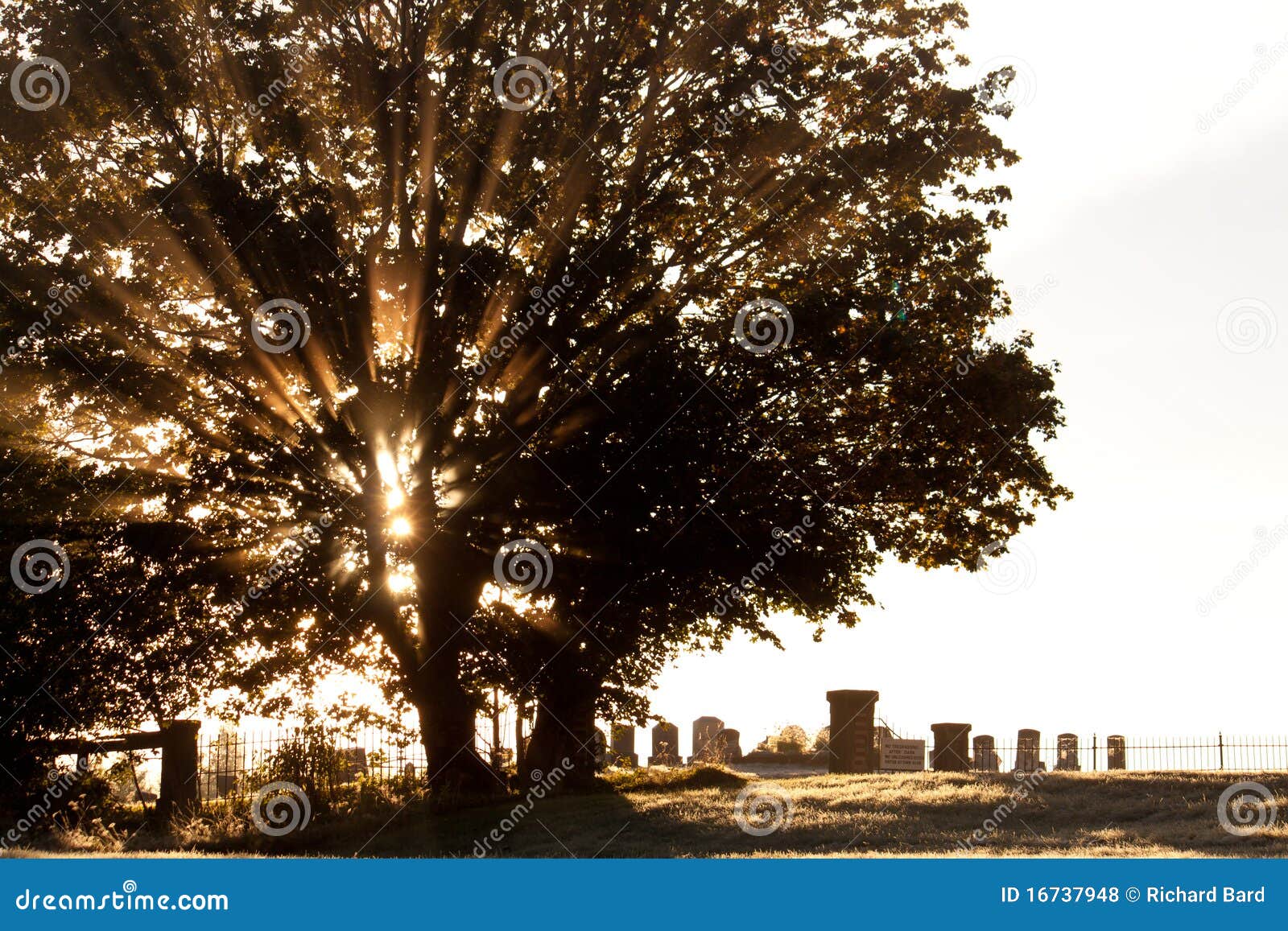 Serene cemetery at sunrise stock photo. Image of sunrise - 16737948