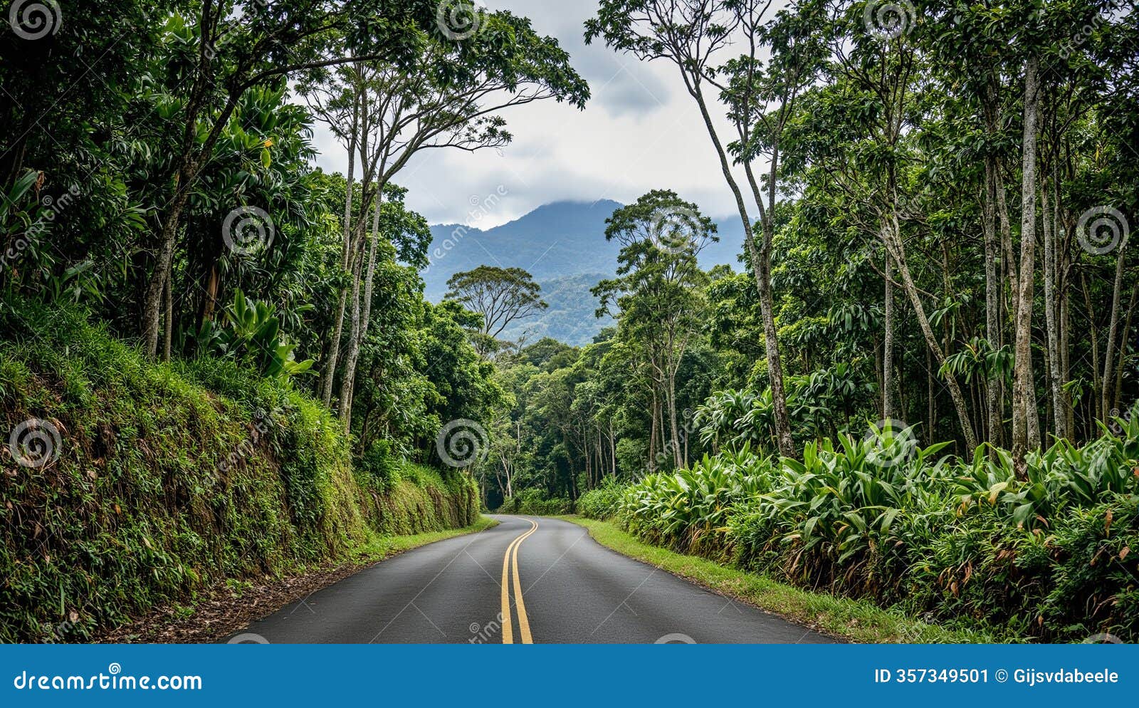 A Serene Costa Rican River Winding Through Lush Wild Forest In Alajuela ...