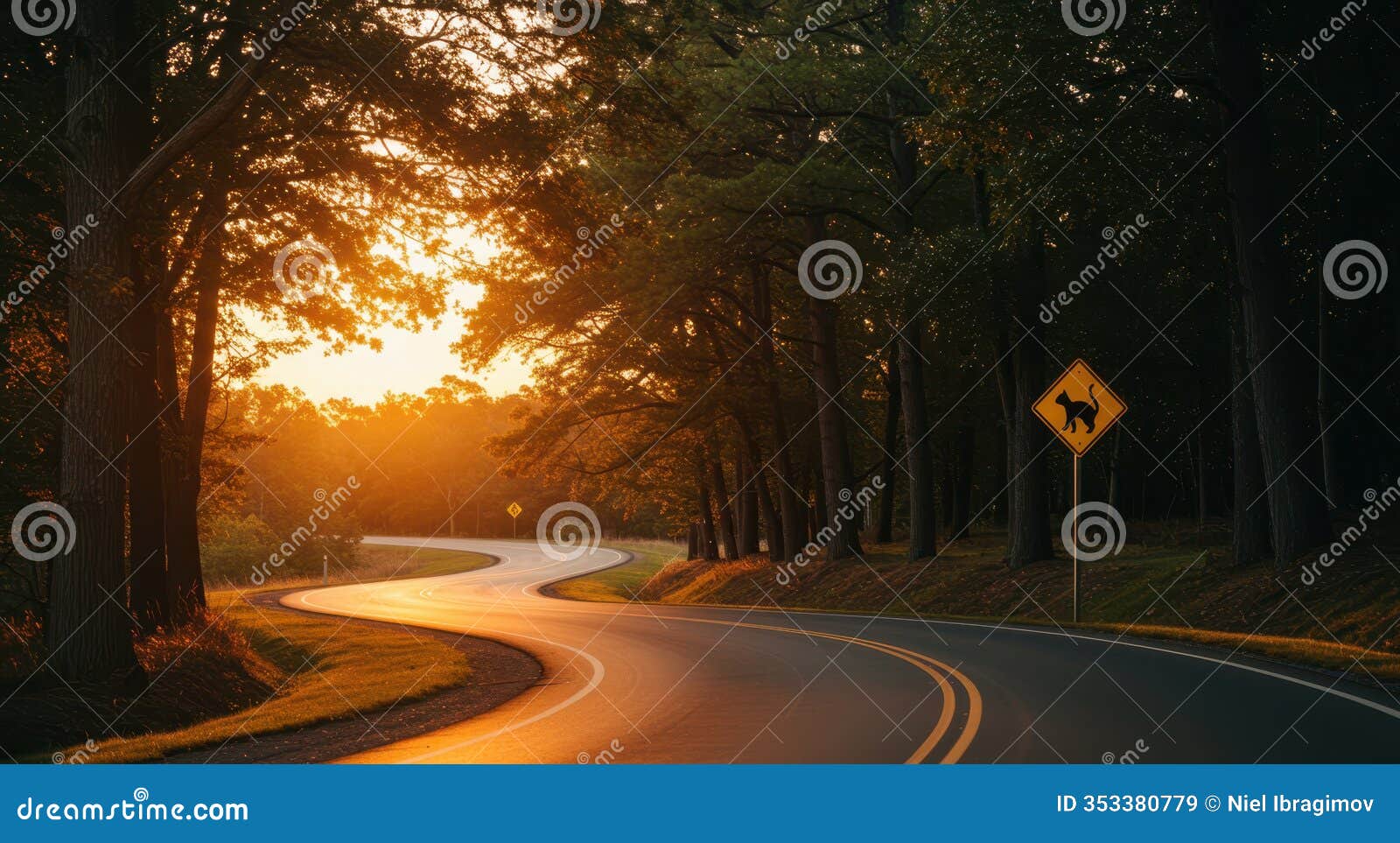 Camel Warning Sign On The Road. Signage In The Desert In Israel Royalty ...