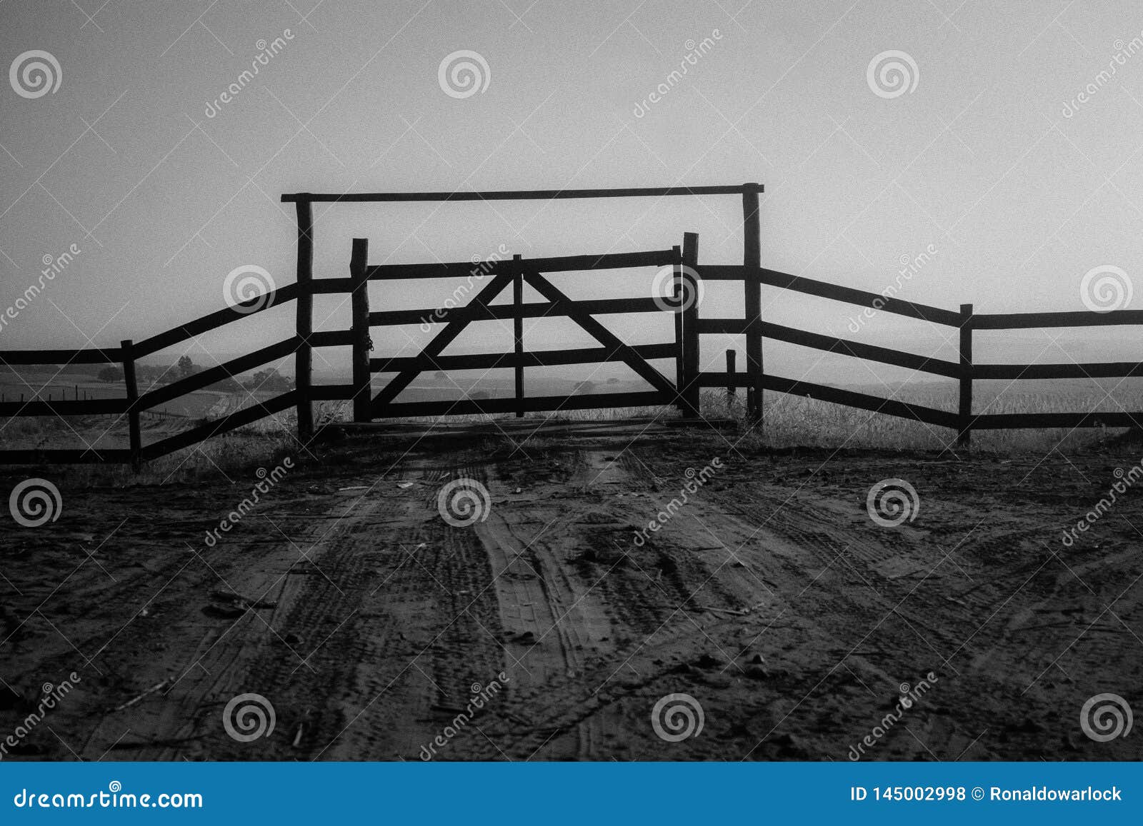Pasture gate stock photo. Image of white, wonderful - 145002998