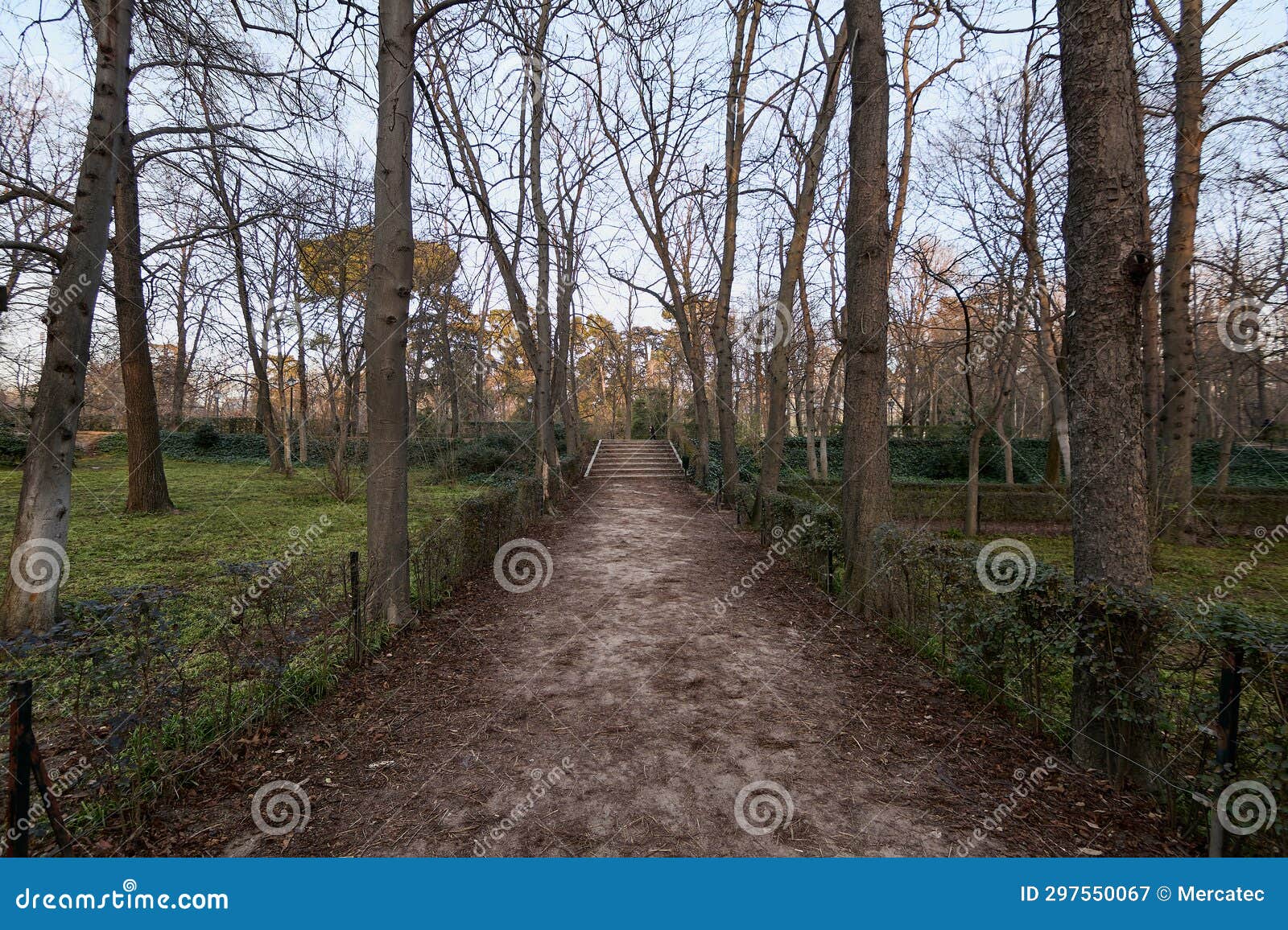 Lonely Path in the Retiro Park in Winter. Stock Image - Image of ...