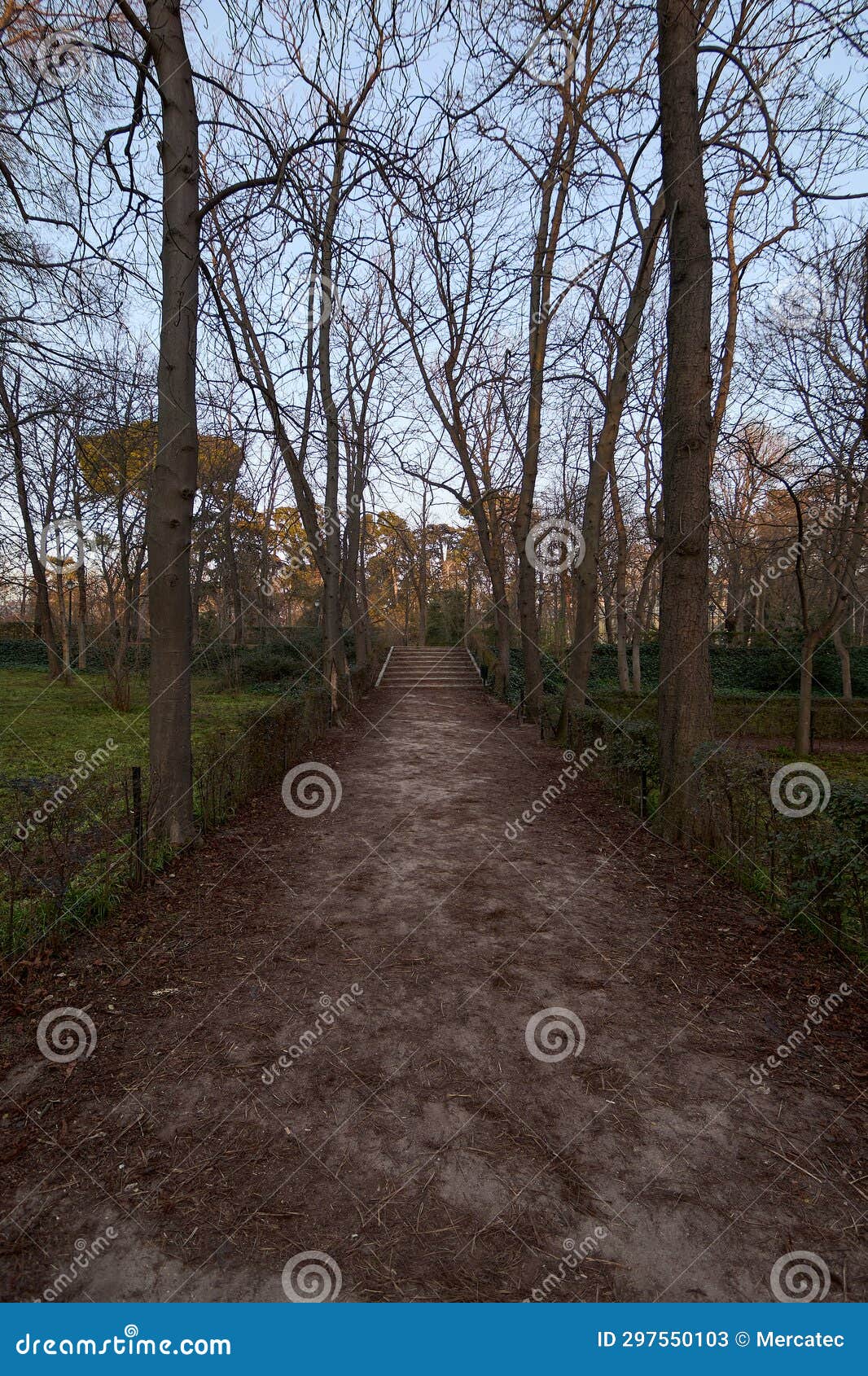 Lonely Path in the Retiro Park in Winter. Stock Image - Image of road ...