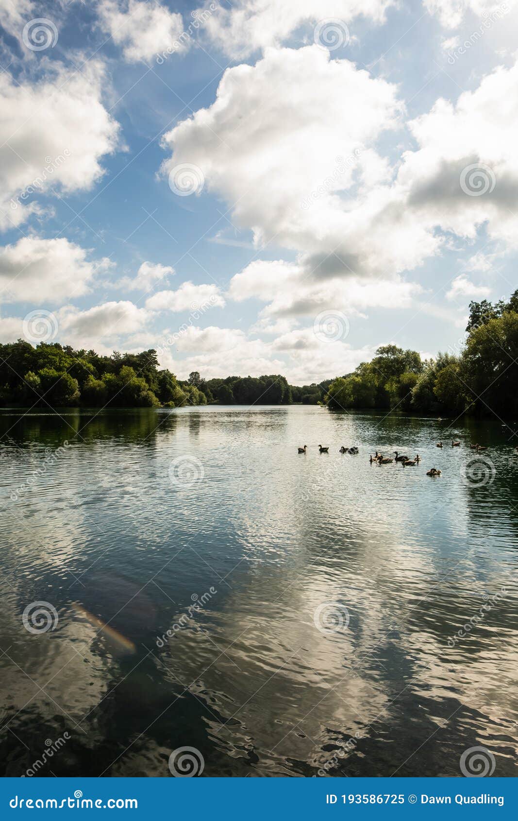 Serene English Lakeside View on a Summer Day Stock Image - Image of ...