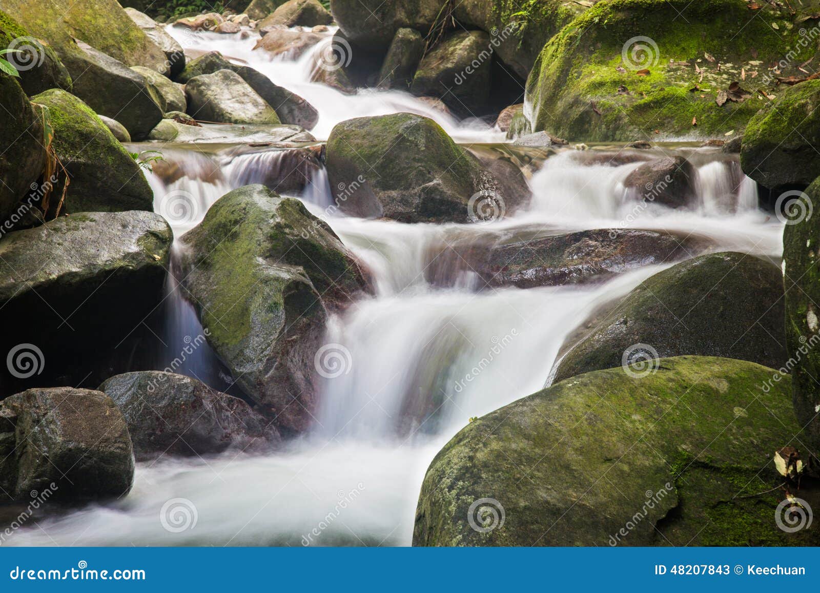 Serene Flow of a Small Waterfall Stock Image - Image of peaceful, relax ...