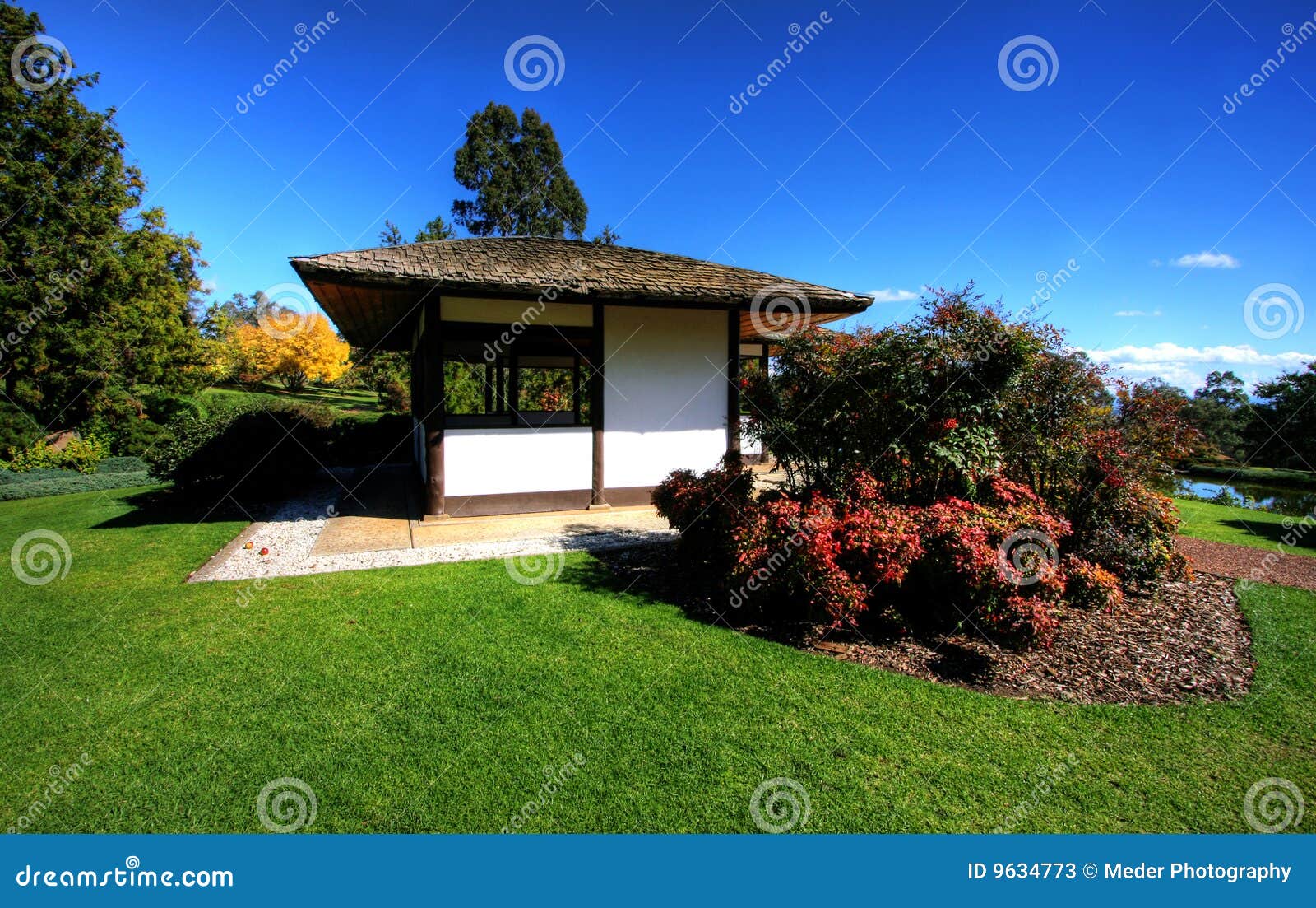 Serene Garden stock image. Image of home, landscape, lush - 9634773