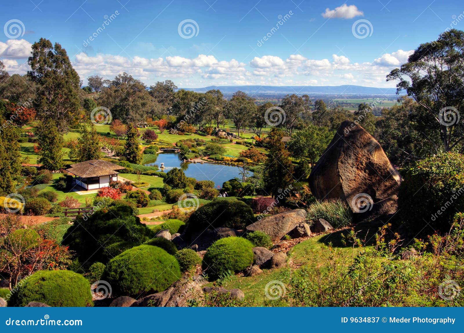 Serene Garden stock image. Image of flower, green, plant - 9634837