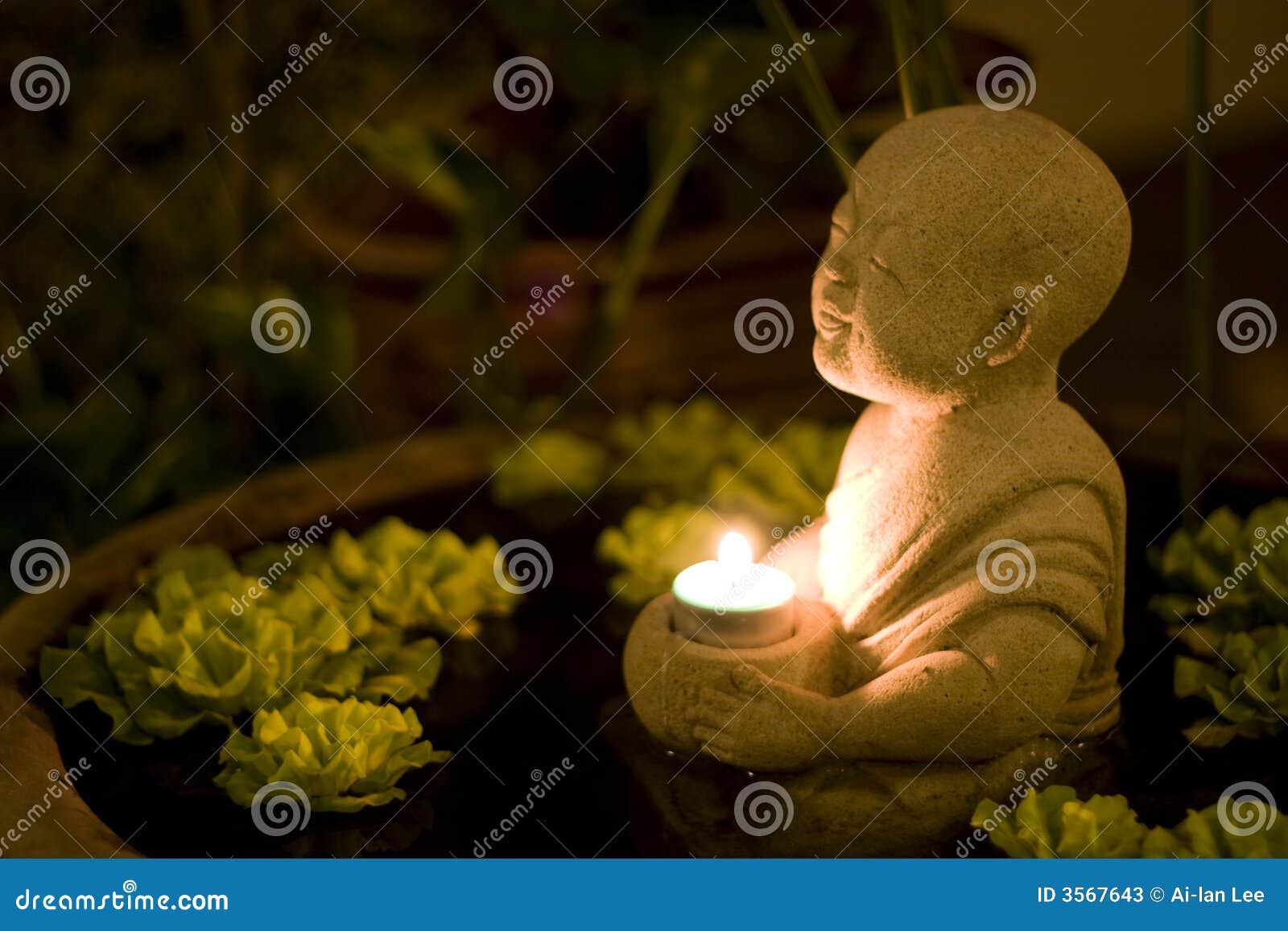 Serene garden pond stock image. Image of relaxing, malaysia - 3567643