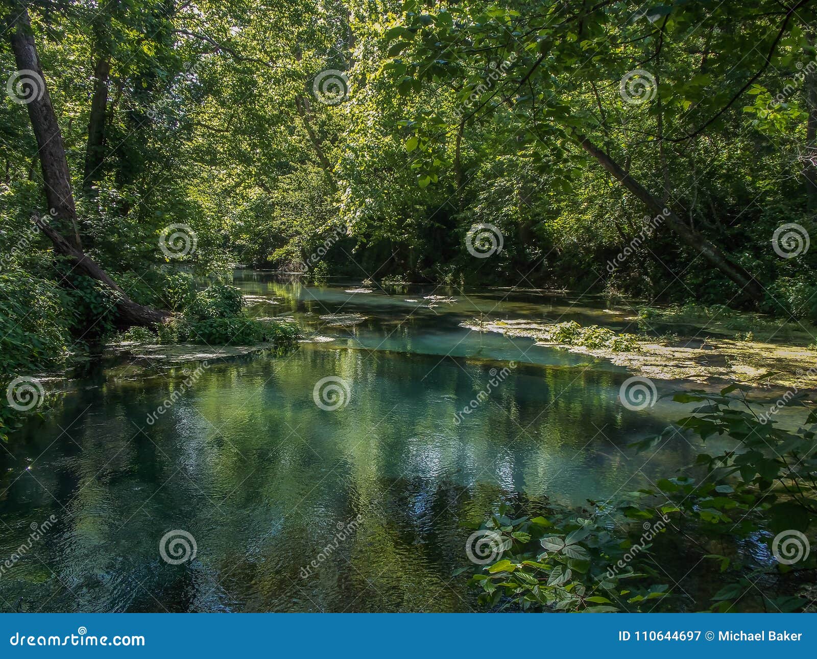 Serene and Green Stream and Trees Stock Image - Image of leaves ...